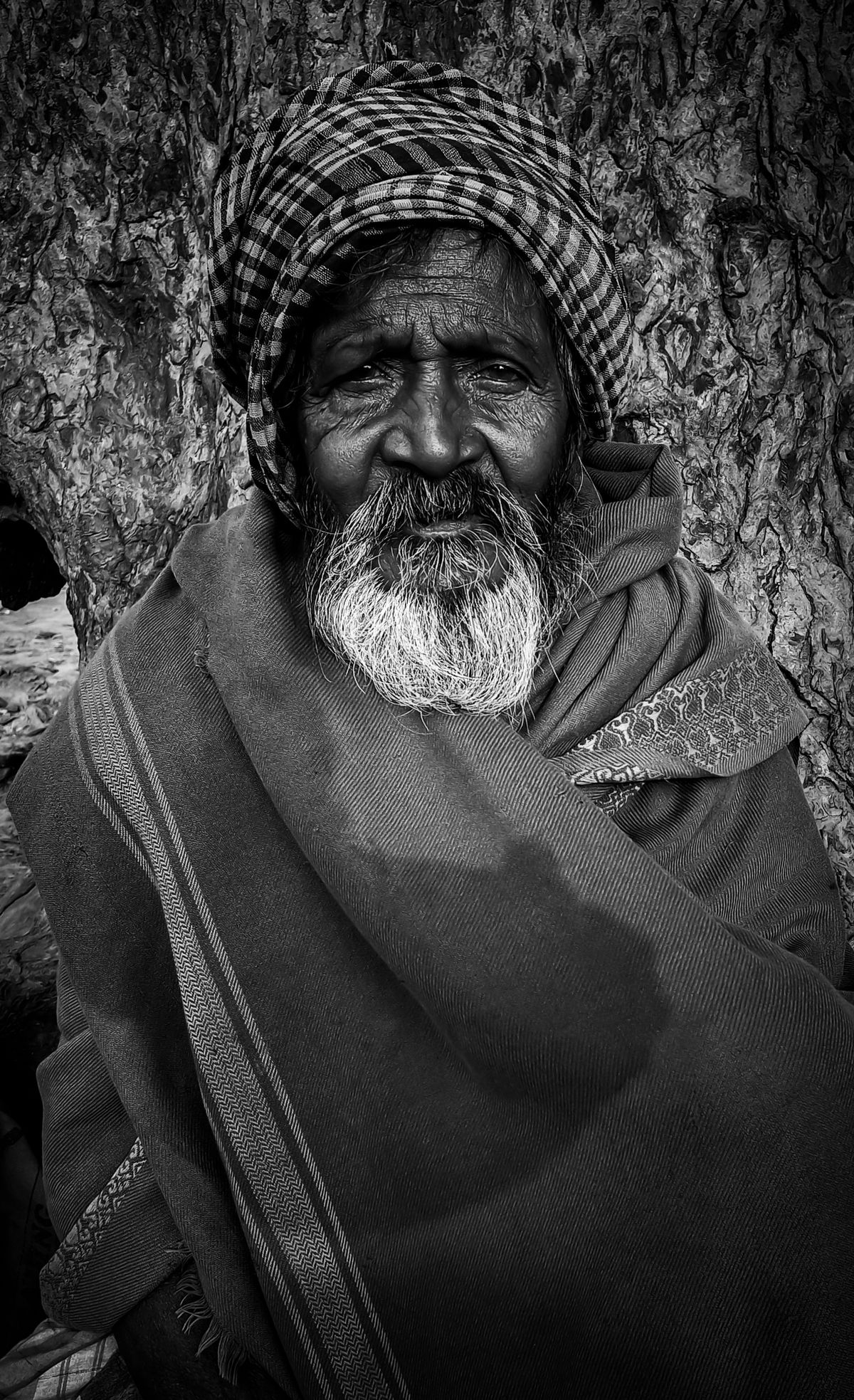 Elderly Portraits Photos, Download The BEST Free Elderly Portraits ...