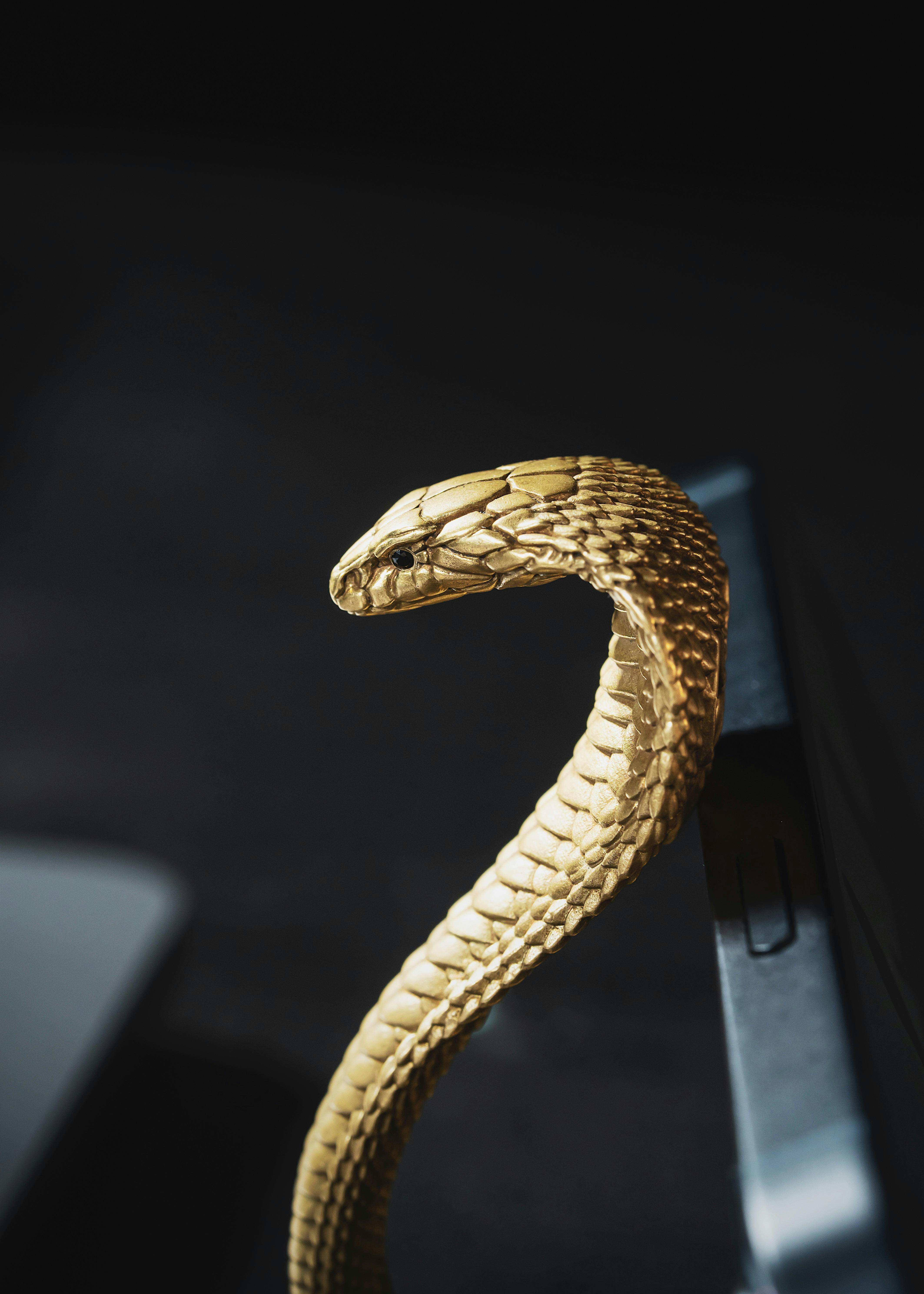 Close-up of a Handmade, Golden Cobra Phone Stand · Free Stock Photo