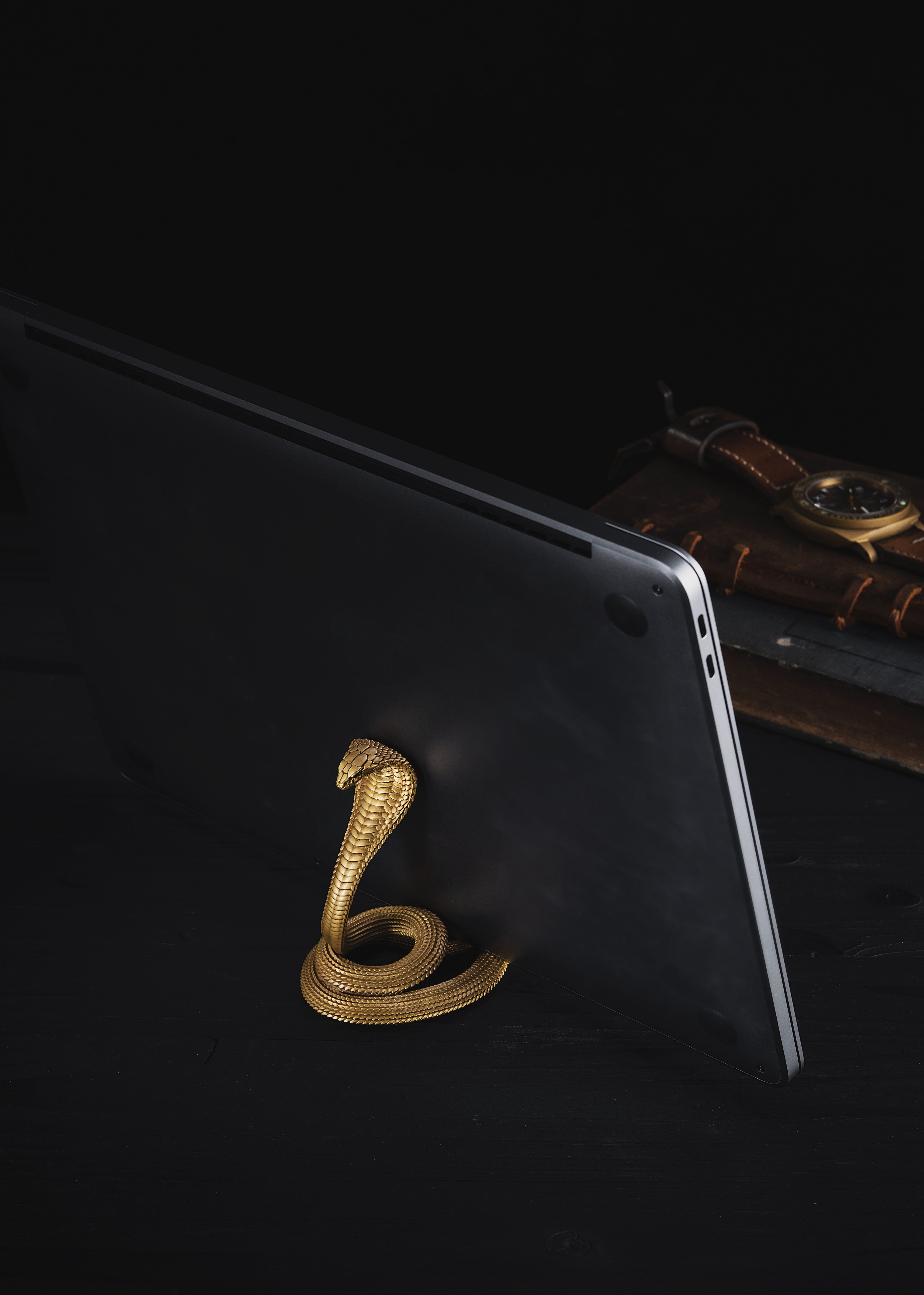 Laptop on a Stylish Cobra-shaped Stand · Free Stock Photo