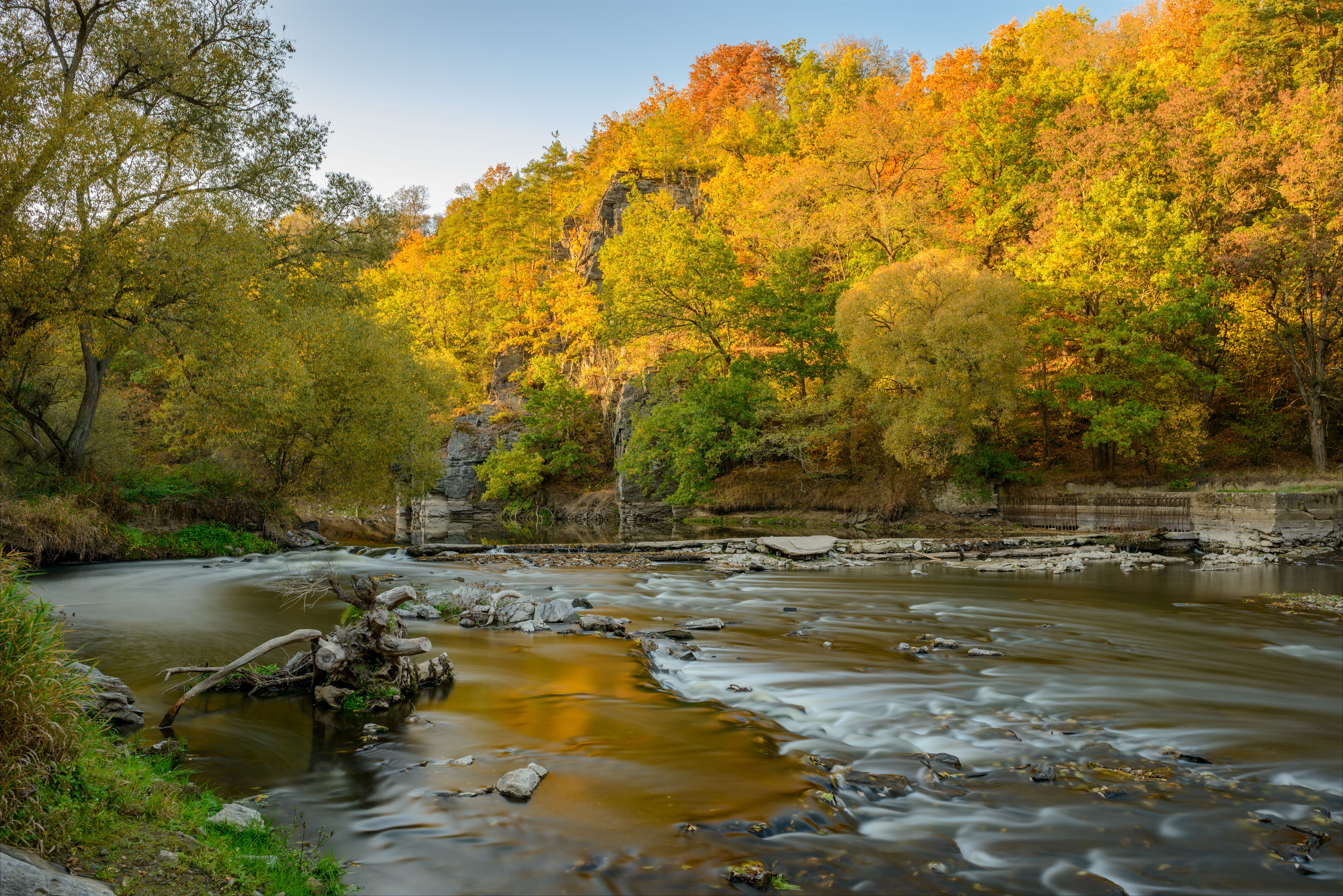 A River in the Forest During Fall · Free Stock Photo