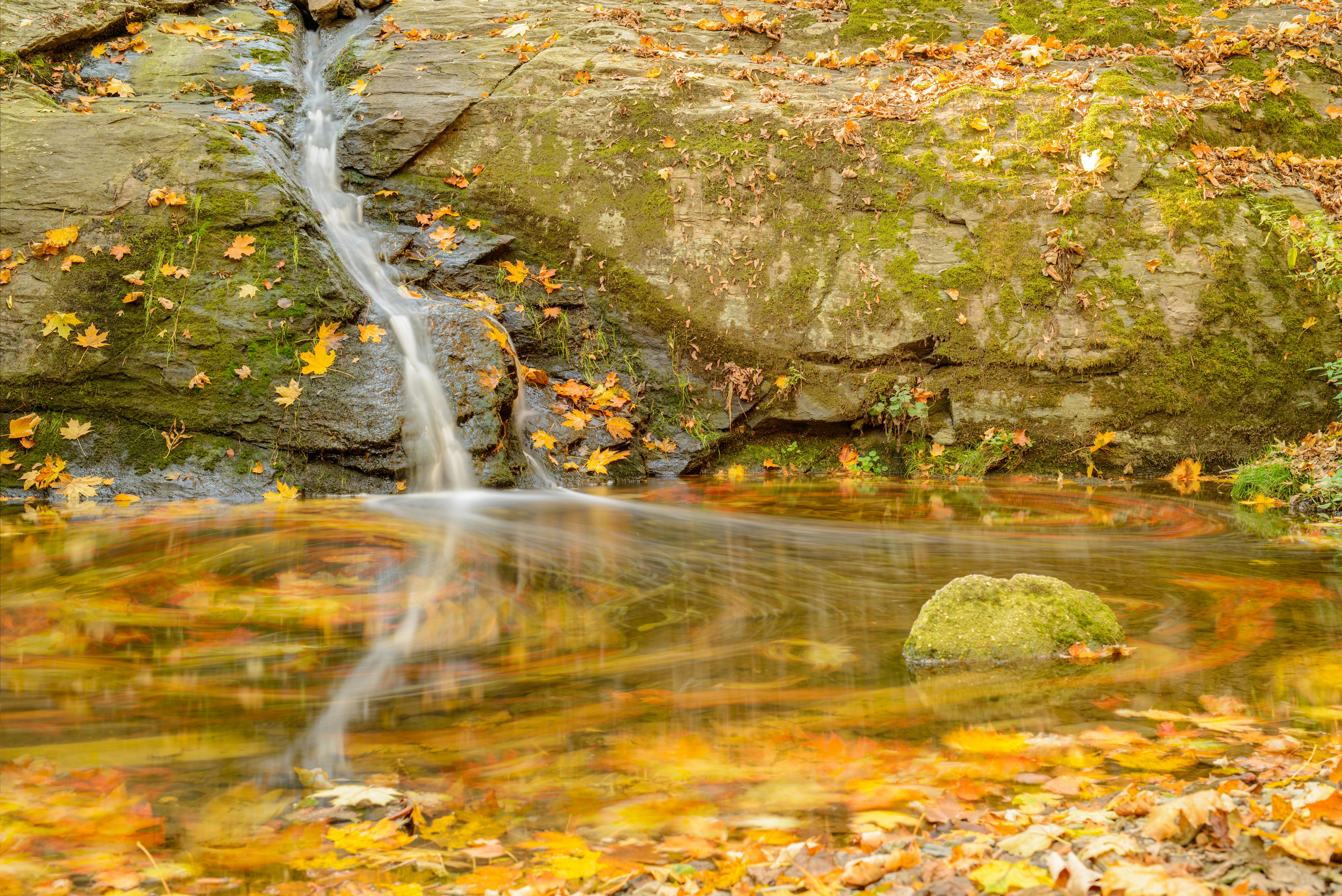 Stream Flowing into Pond · Free Stock Photo