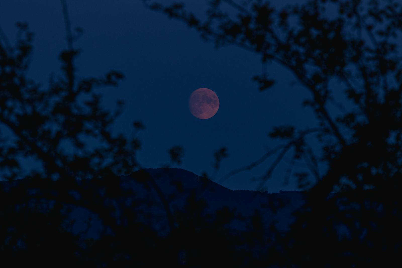 Red Moon Photos, Download The BEST Free Red Moon Stock Photos & HD Images