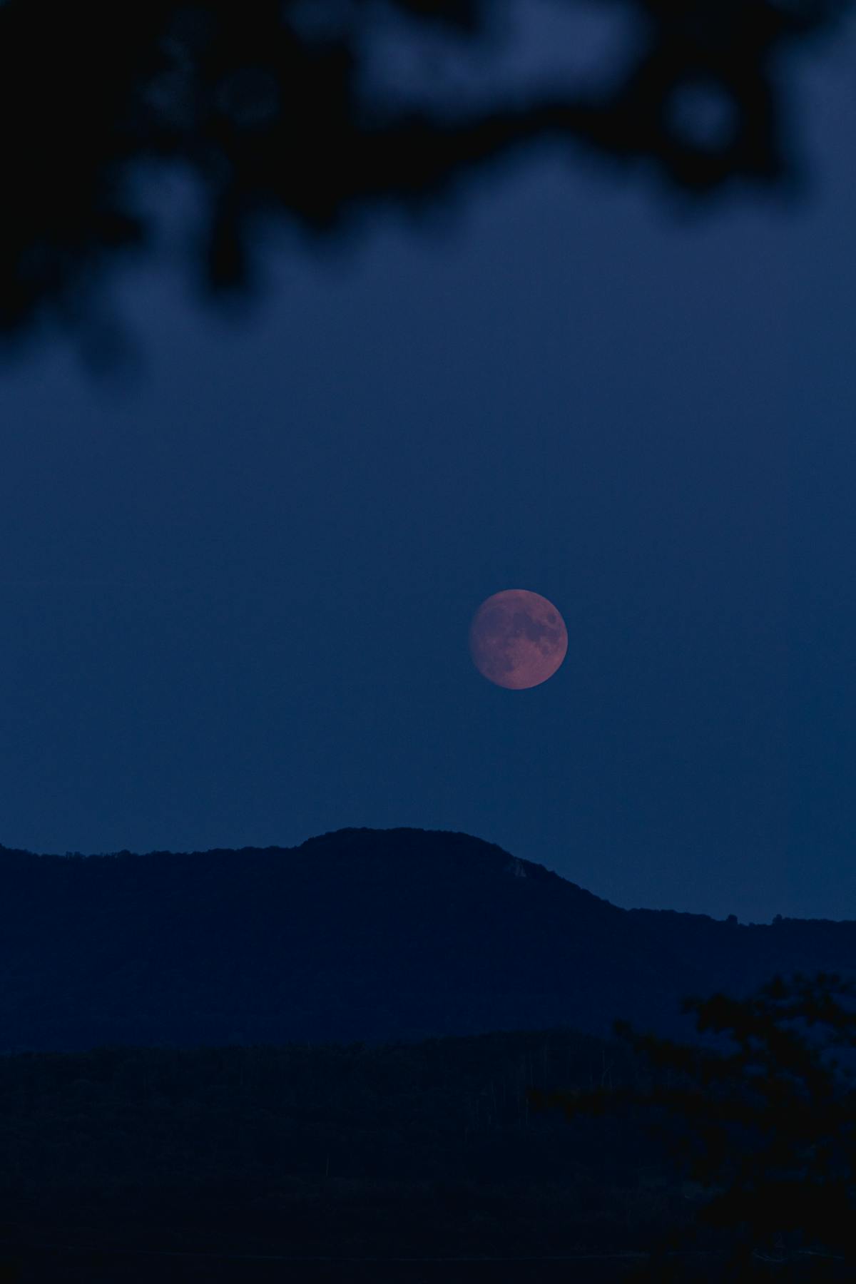 Red Moon Photos, Download The BEST Free Red Moon Stock Photos & HD Images