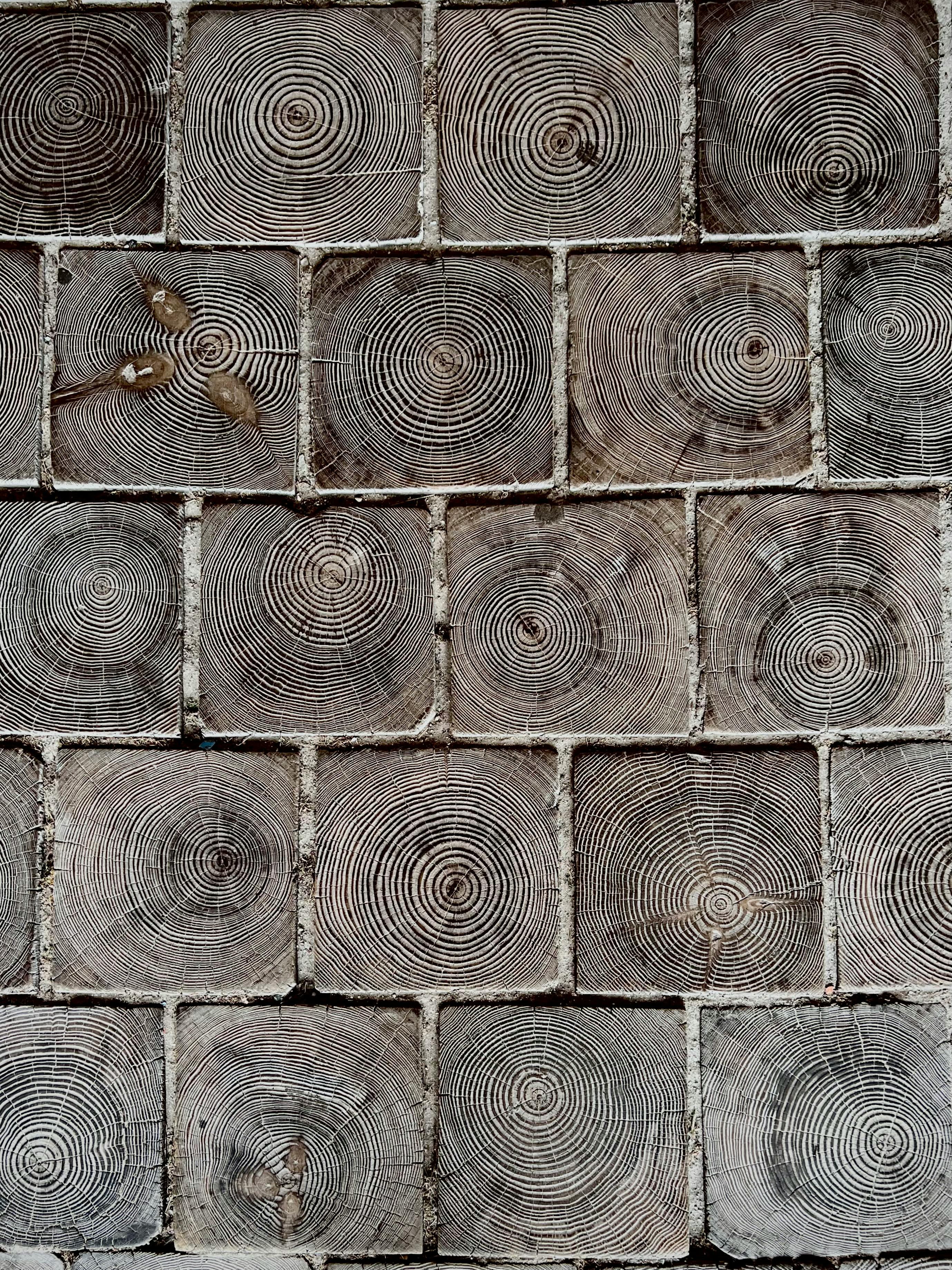 20 000+ Lumpy Texture banque d’images et photos libres de droit ...