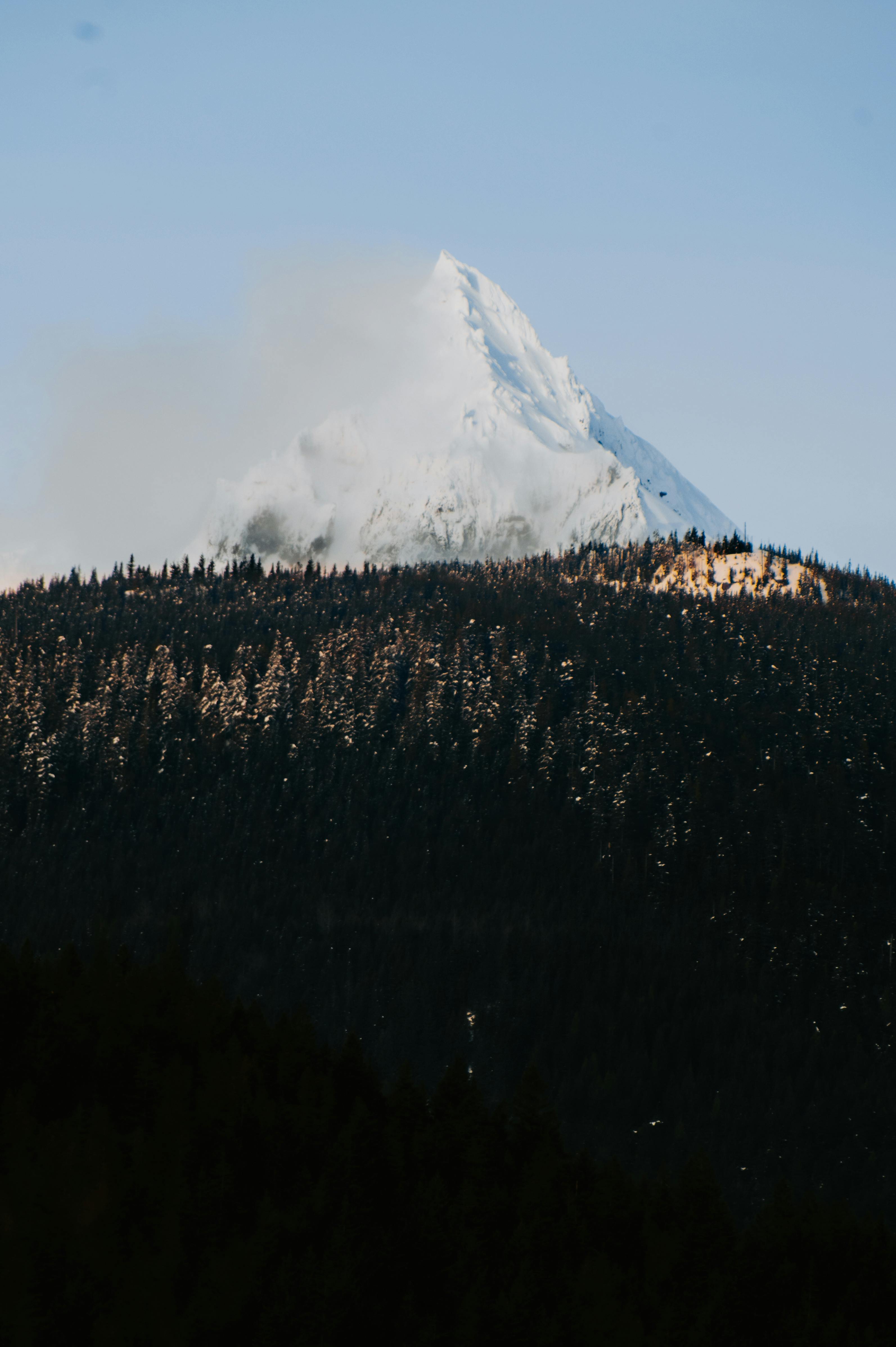 High Value Photos, Download The BEST Free High Value Stock Photos & HD ...