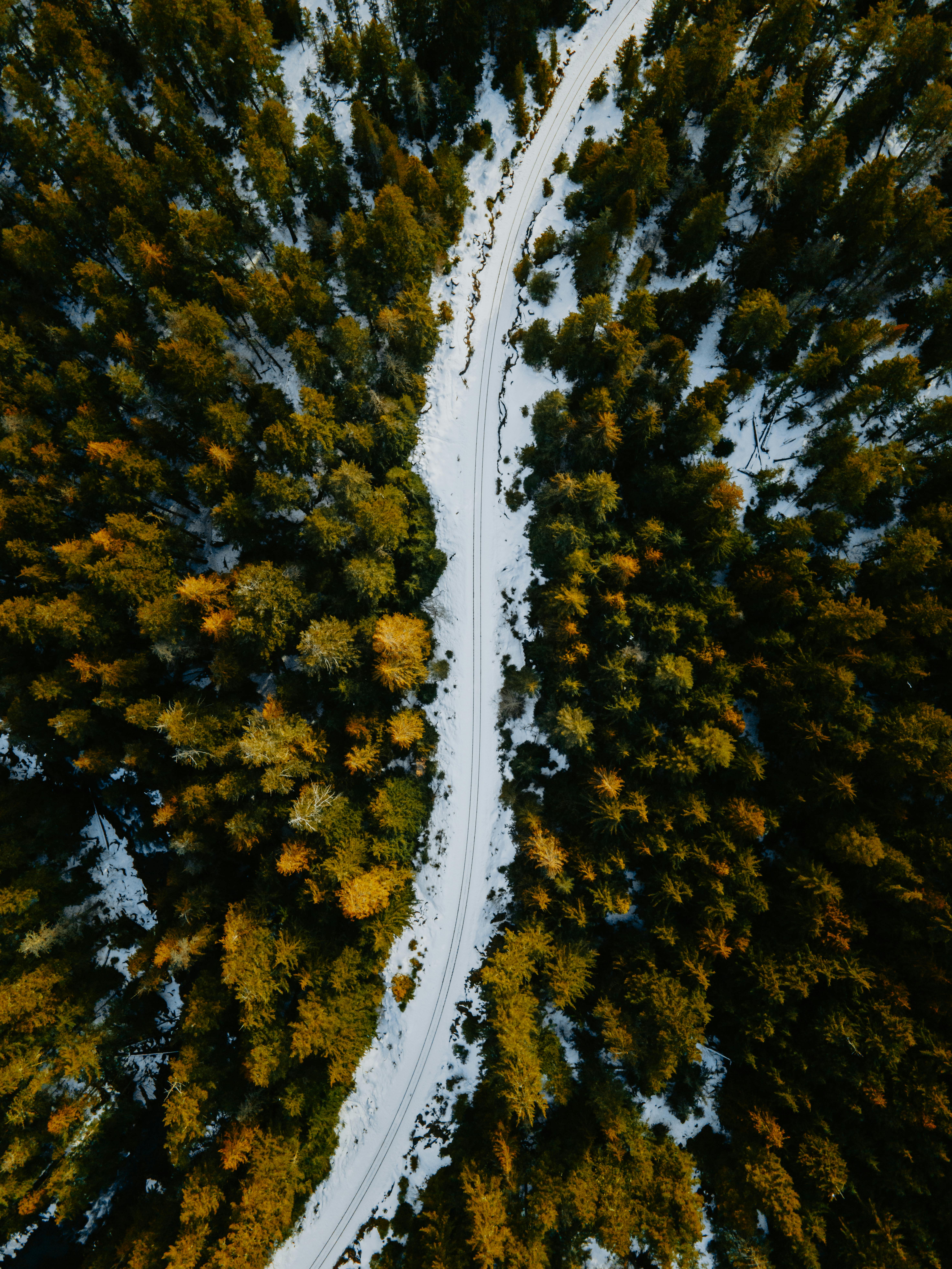 Aerial View of a Road in Winter · Free Stock Photo