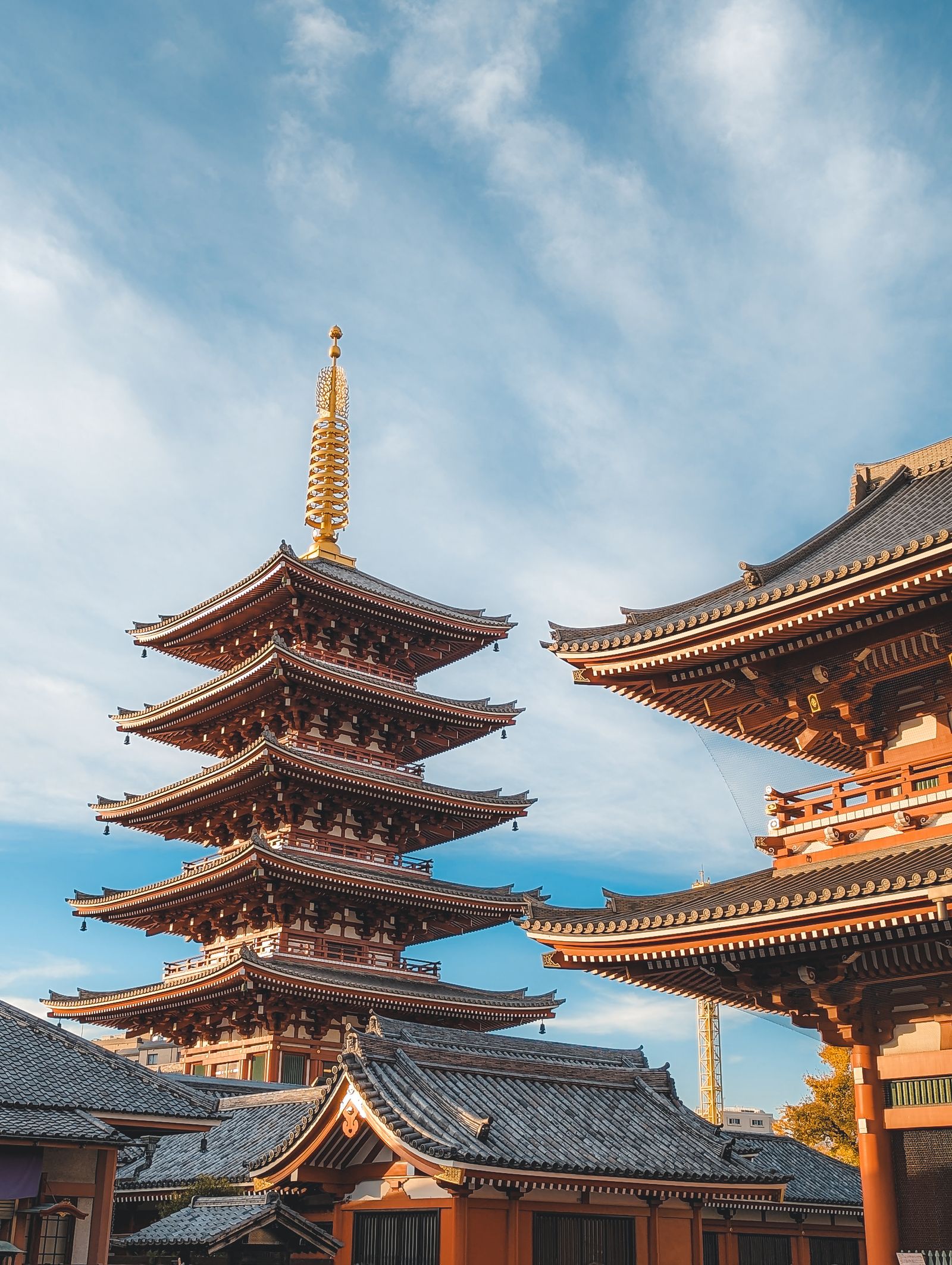 Tokyo Temple Photos, Download The BEST Free Tokyo Temple Stock Photos ...