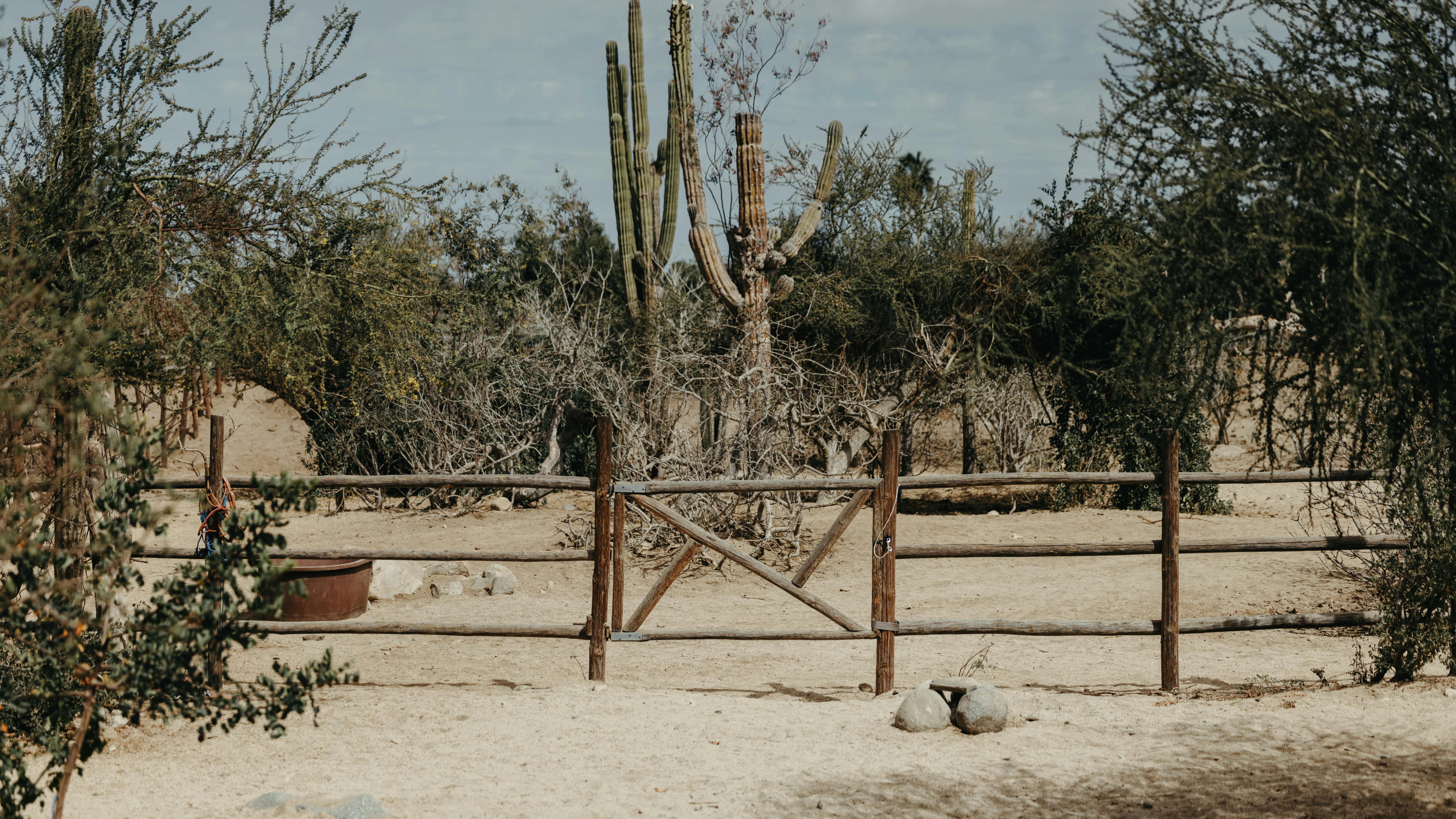 Wooden Fence on Desert · Free Stock Photo
