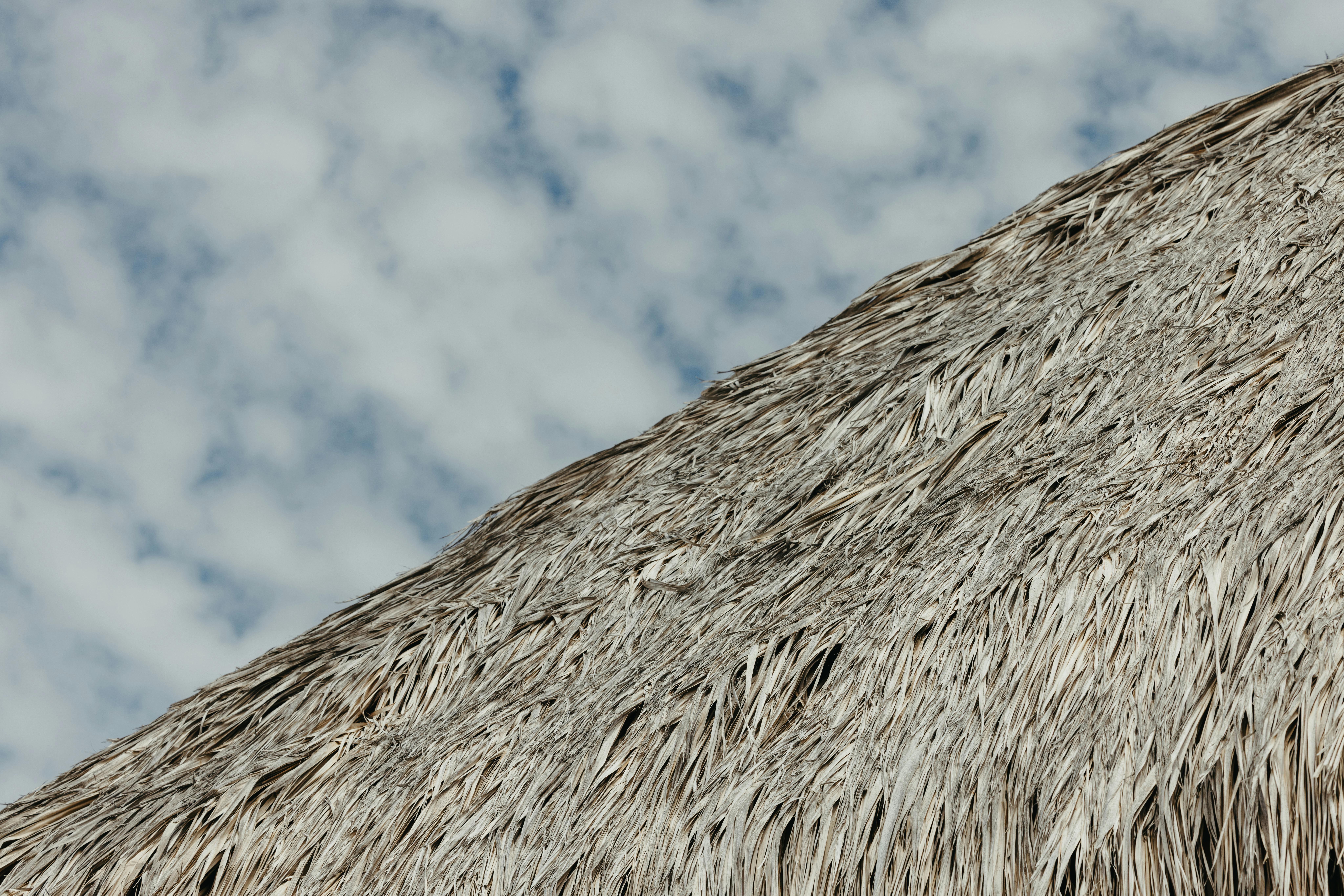 Close-up on Straw Roof against Cloudy Sky · Free Stock Photo