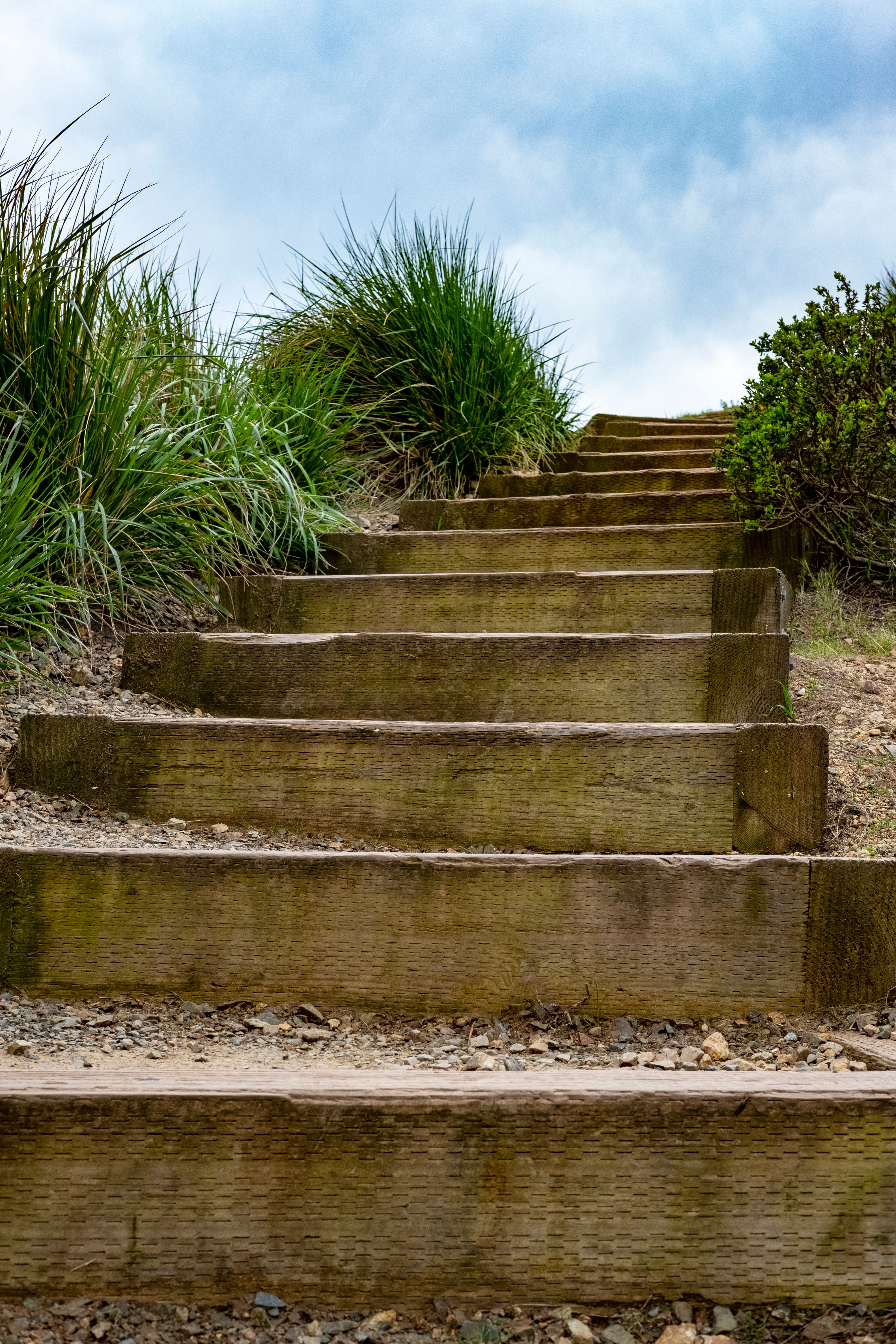 Wooden Steps in Park · Free Stock Photo
