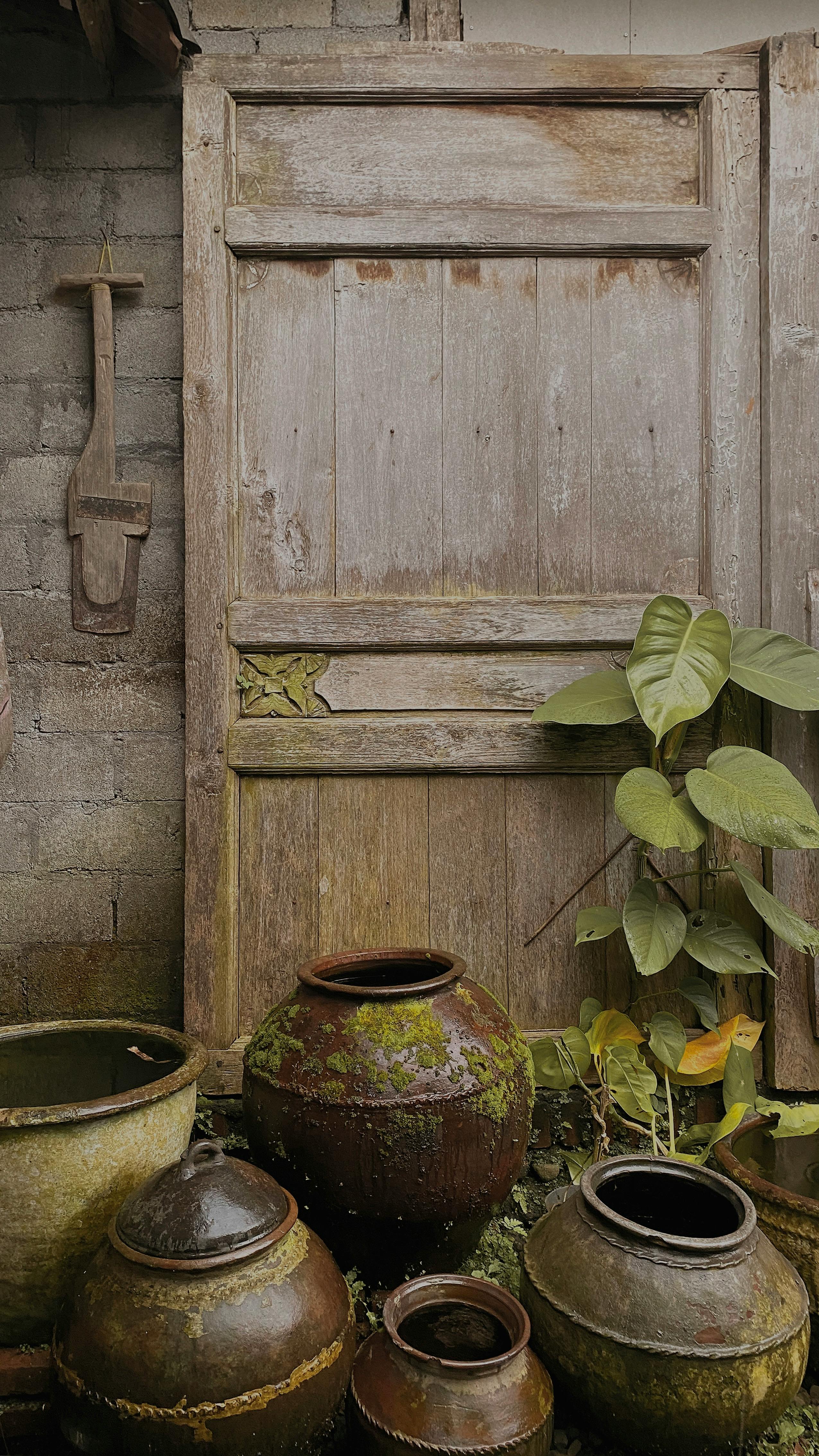 Escultura Ceramic Photos, Download The BEST Free Escultura Ceramic ...