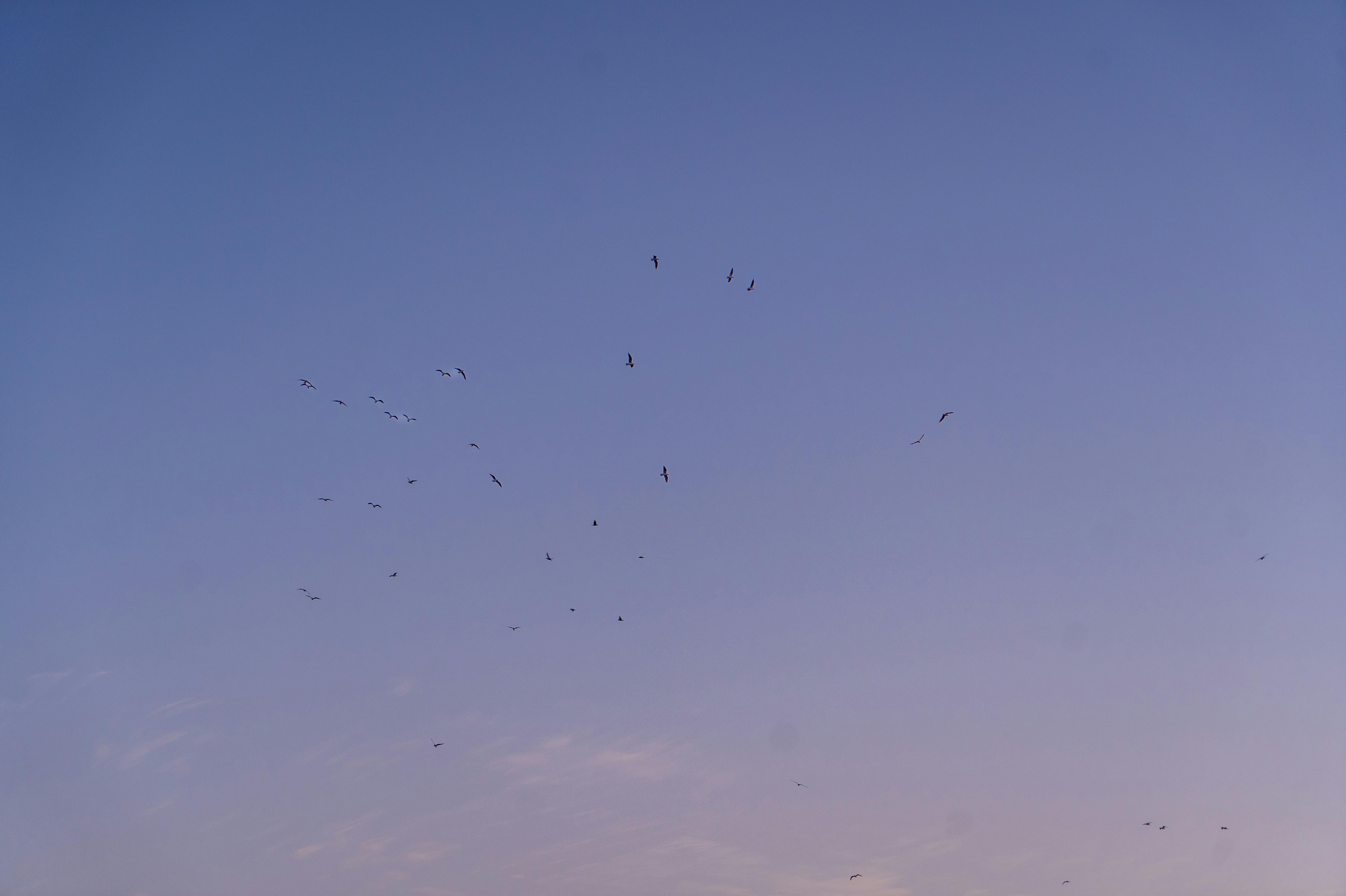 The Lazy Artist Gallery - 사진