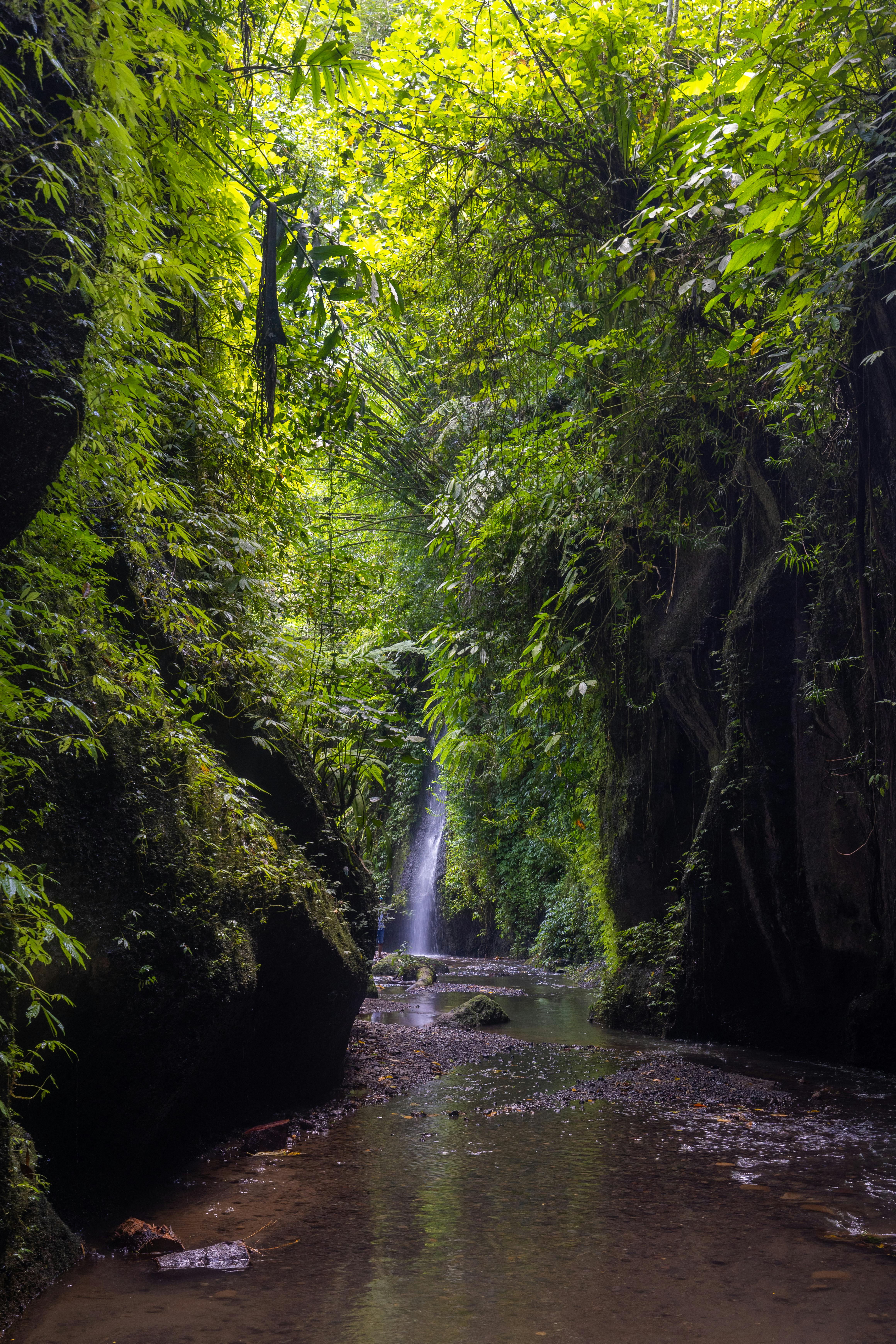 Waterfall in Ravine · Free Stock Photo
