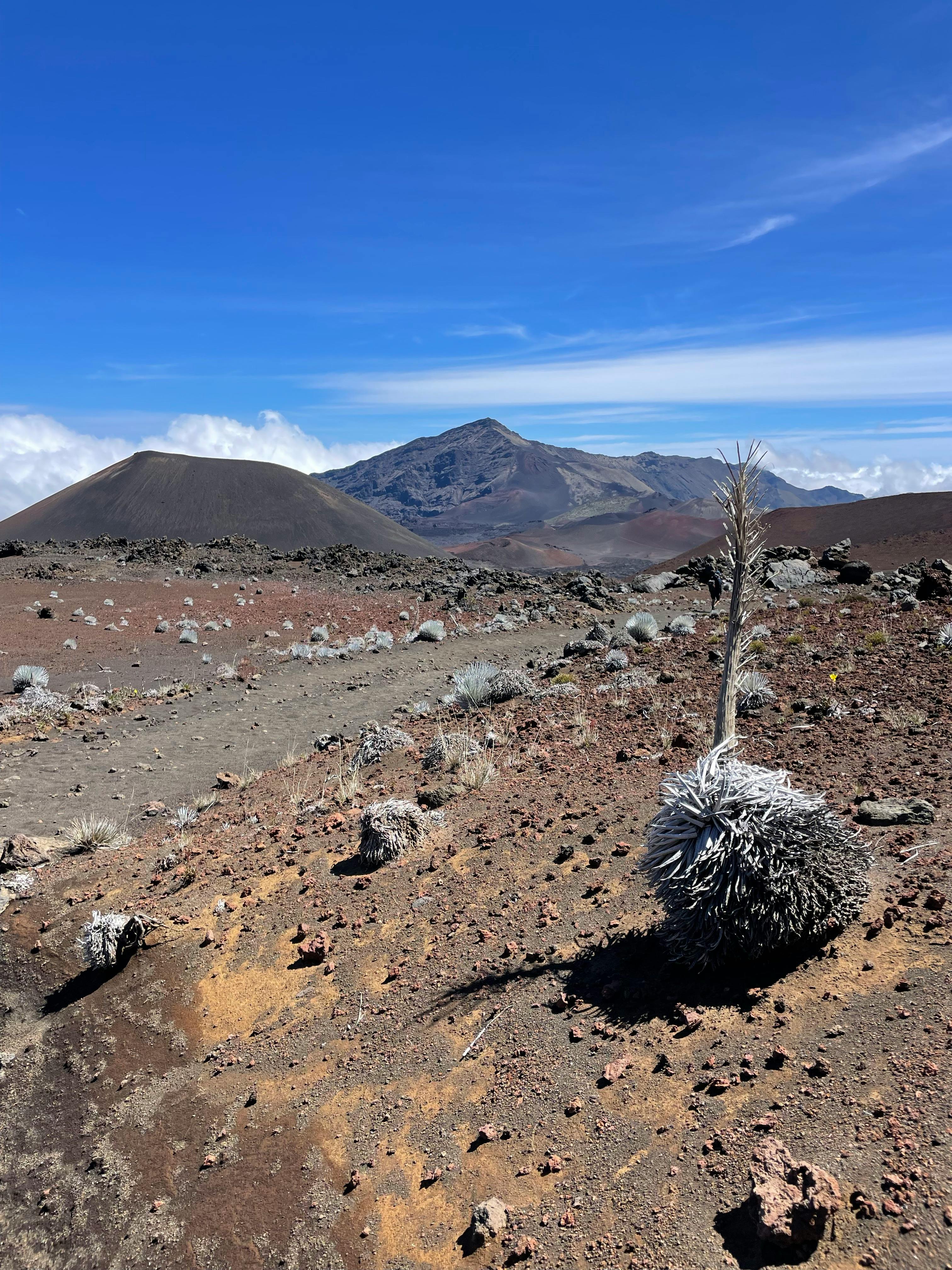Brown Sandy Field Under Blue and White Cloudy Sky · Free Stock Photo