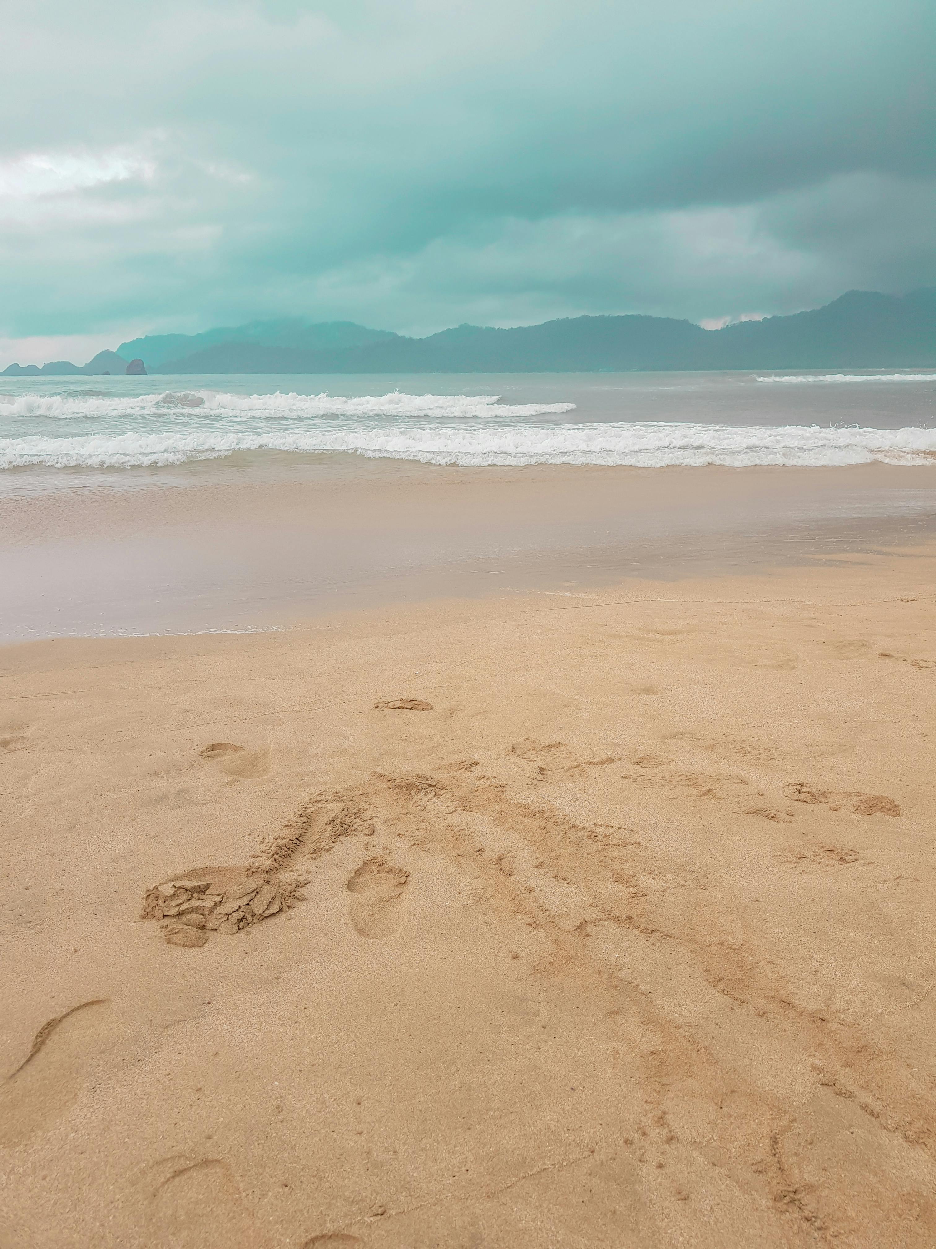 Sea and Beach Landscape · Free Stock Photo