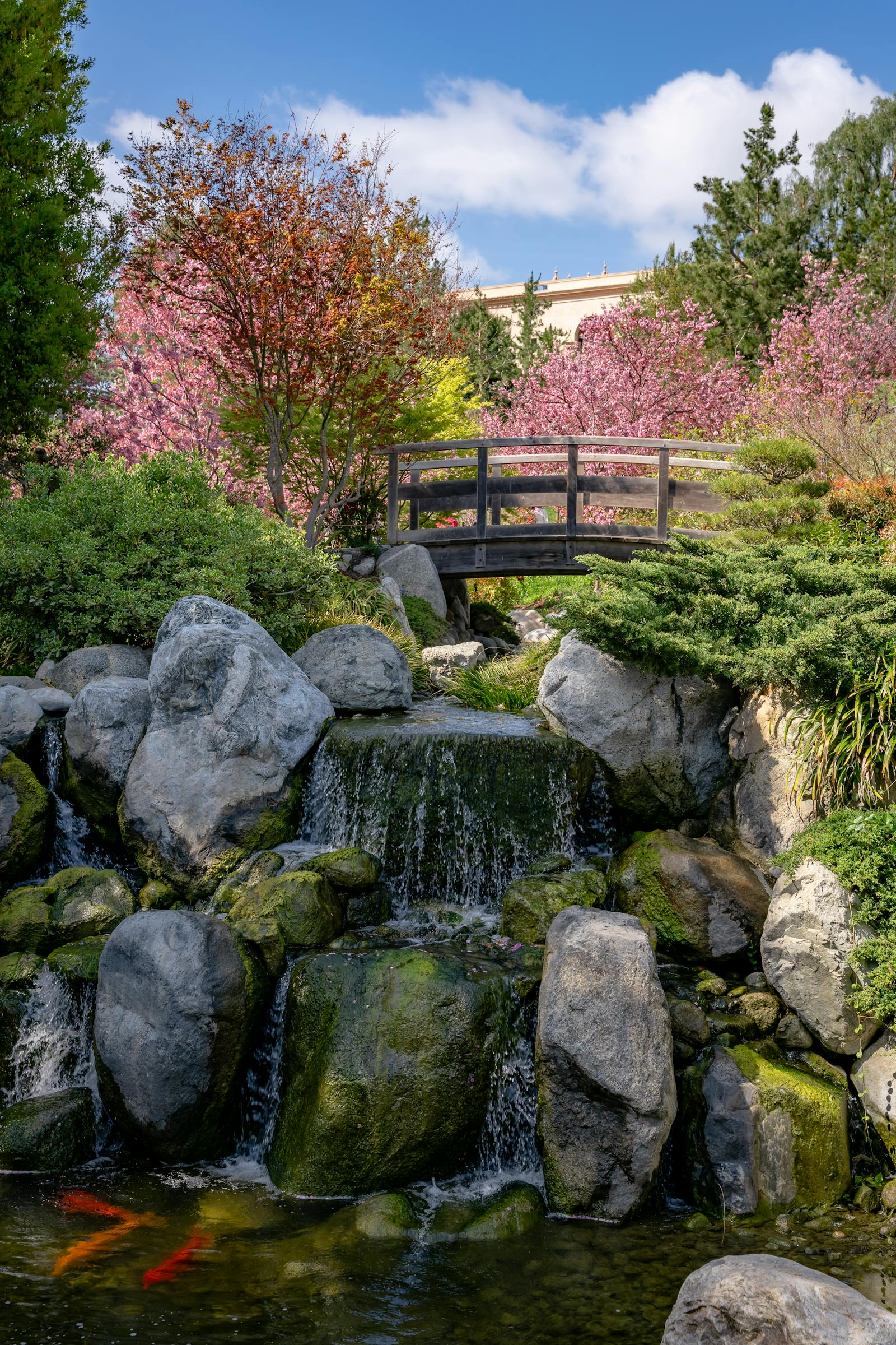 Japanese Friendship Garden Photos, Download The BEST Free Japanese ...