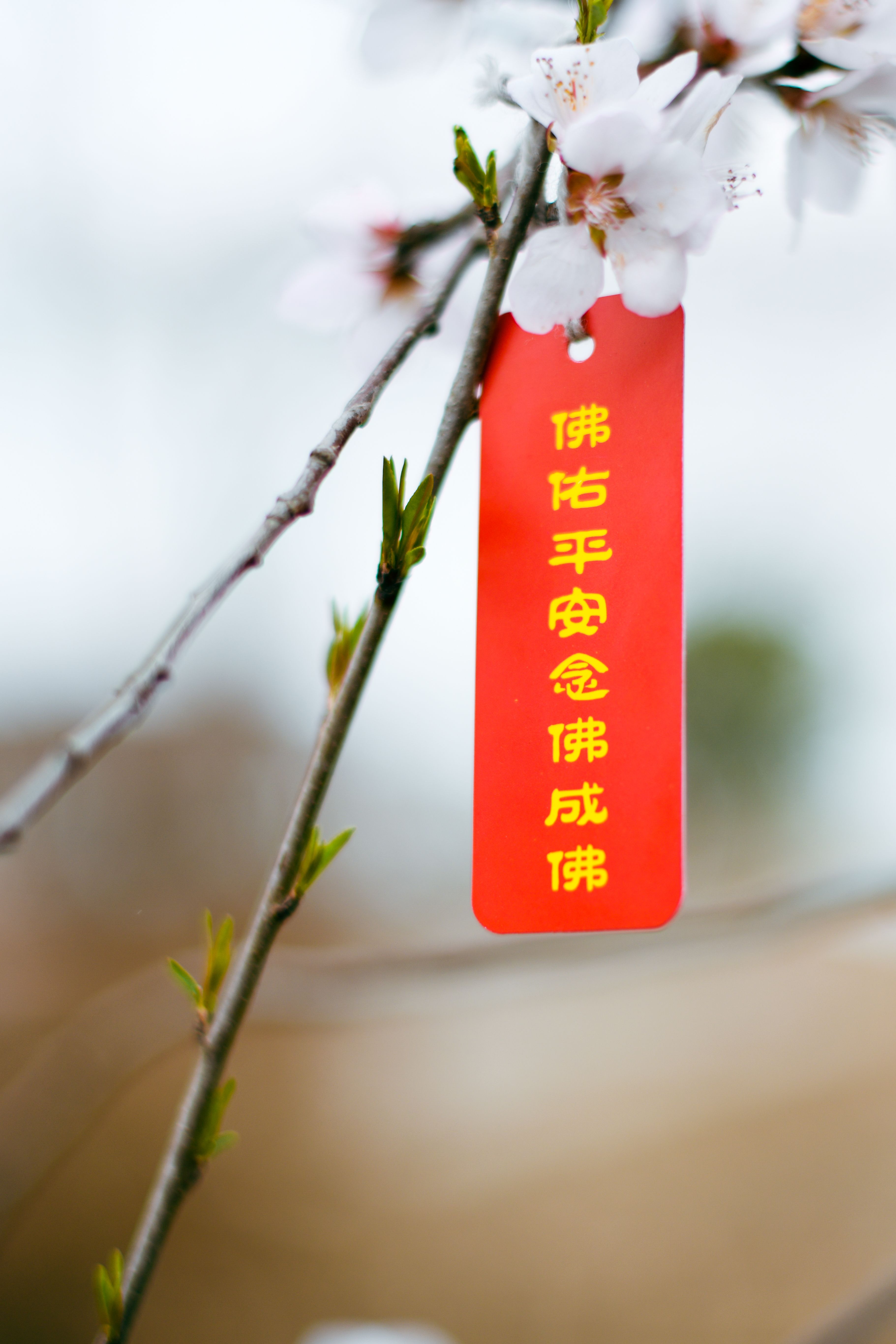 Tag Zen Photos, Download The BEST Free Tag Zen Stock Photos & HD Images
