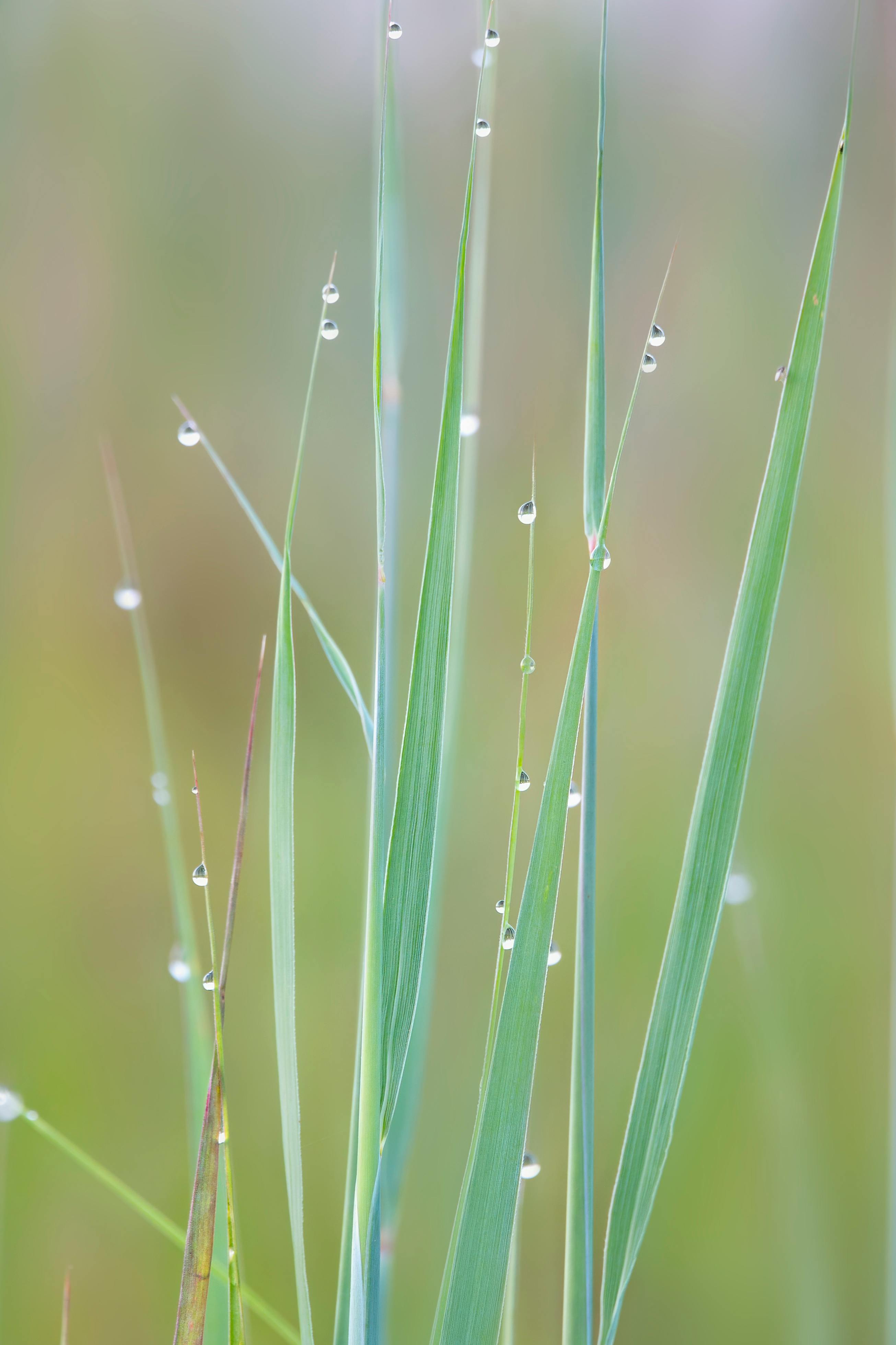 Flower Garden Water Stream Photos, Download The BEST Free Flower Garden ...