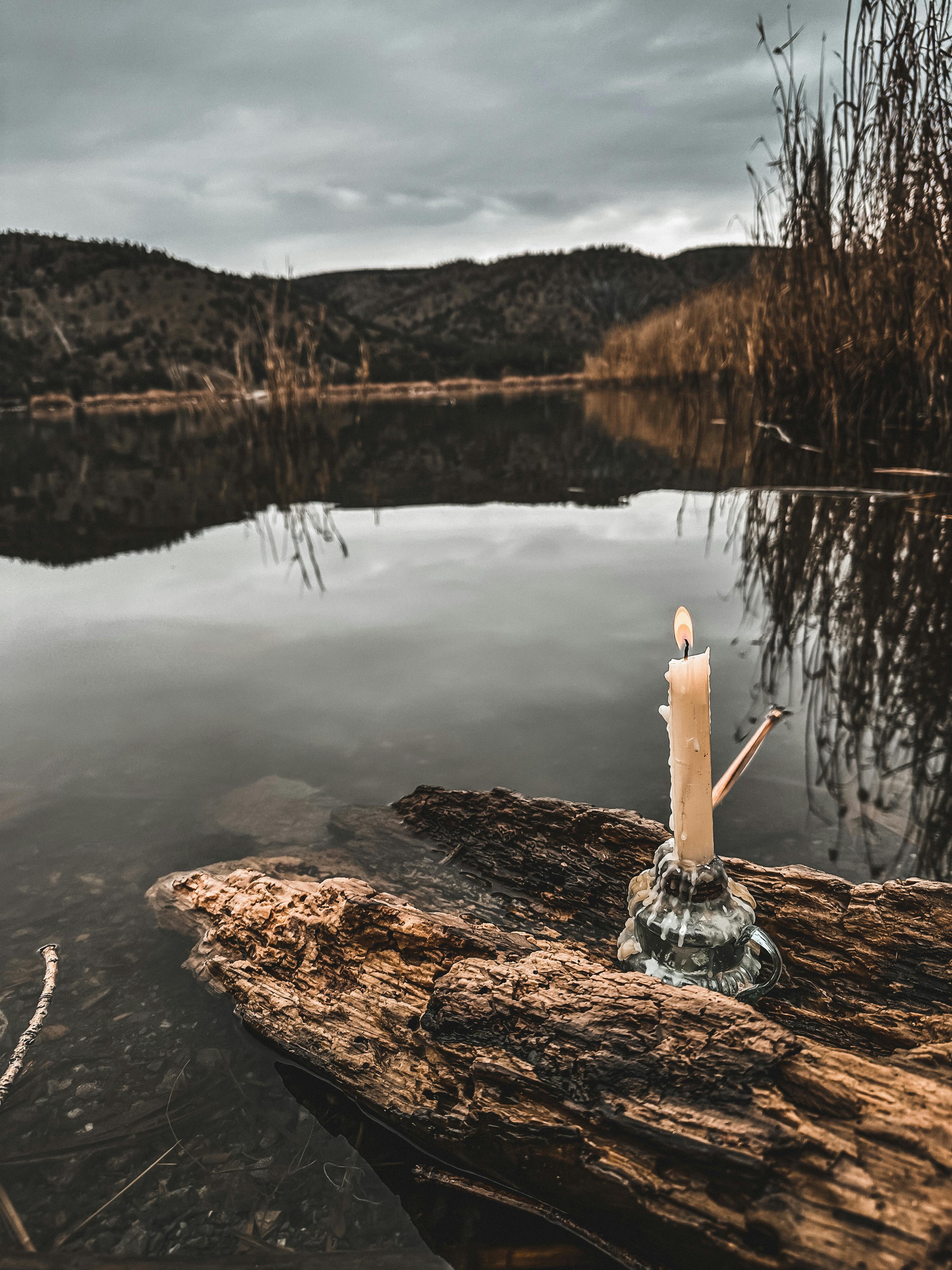 Candle In The Forest Photos, Download The BEST Free Candle In The ...