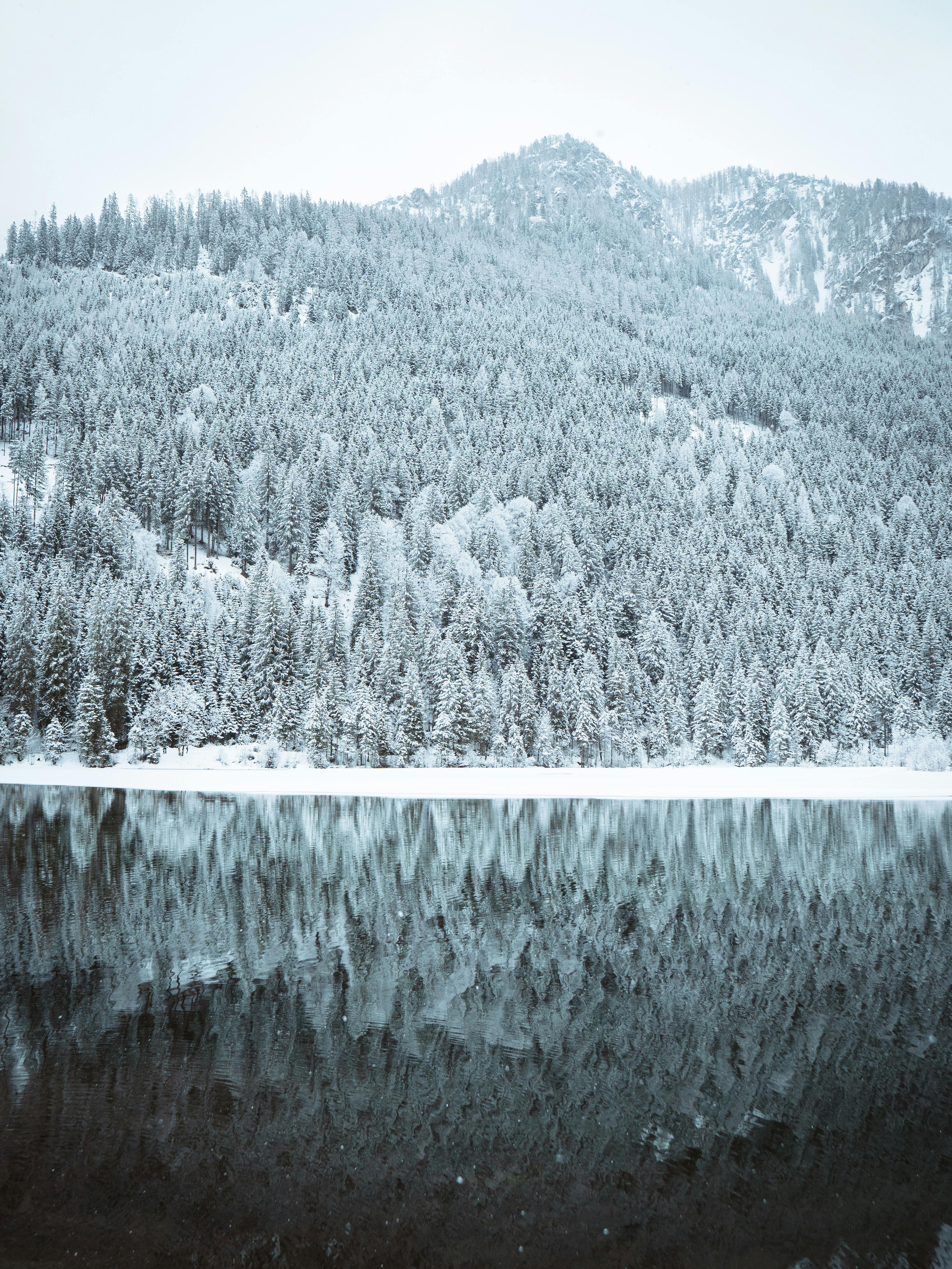 Scenic Winter Landscape · Free Stock Photo