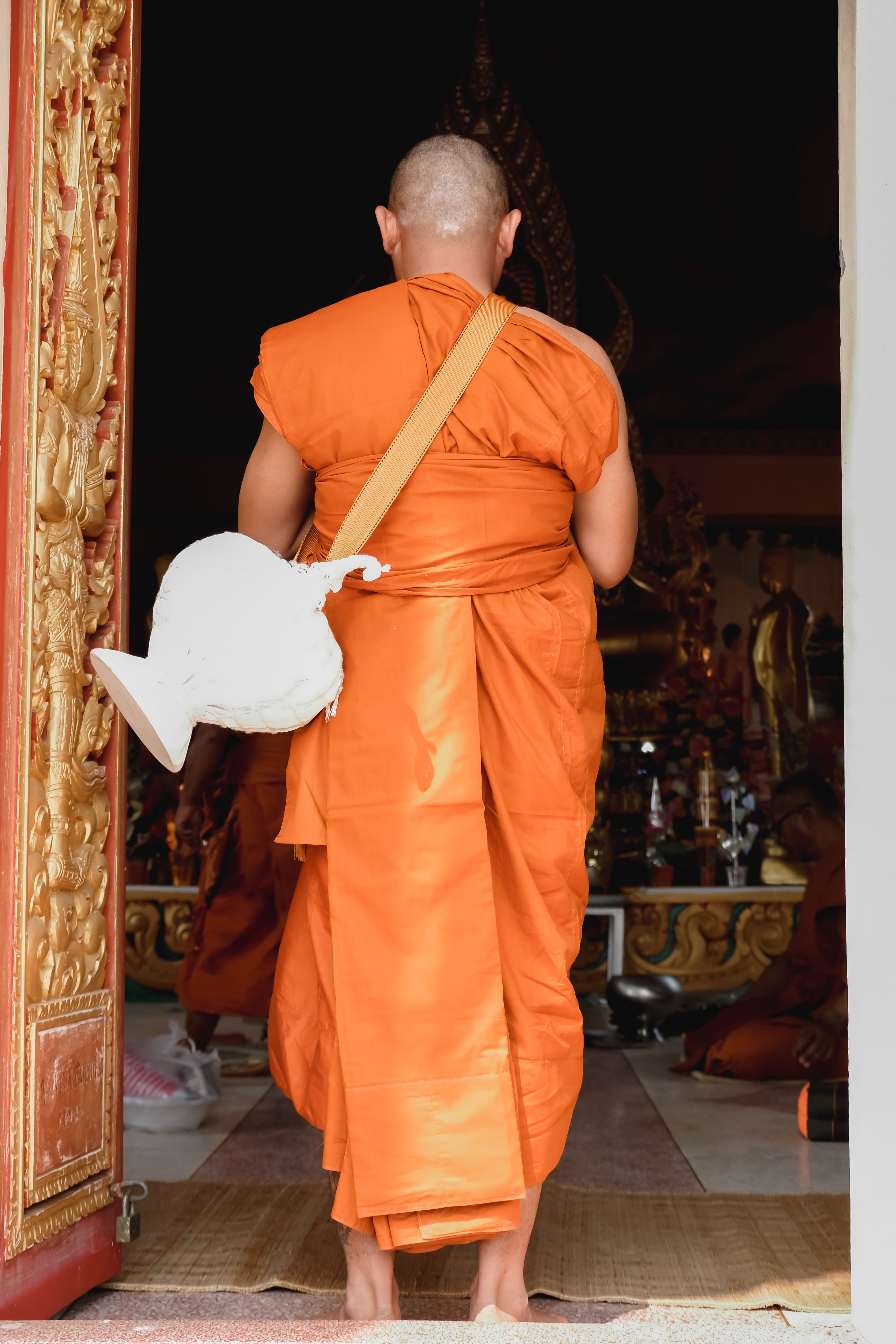 Back View of Buddhist Monk · Free Stock Photo