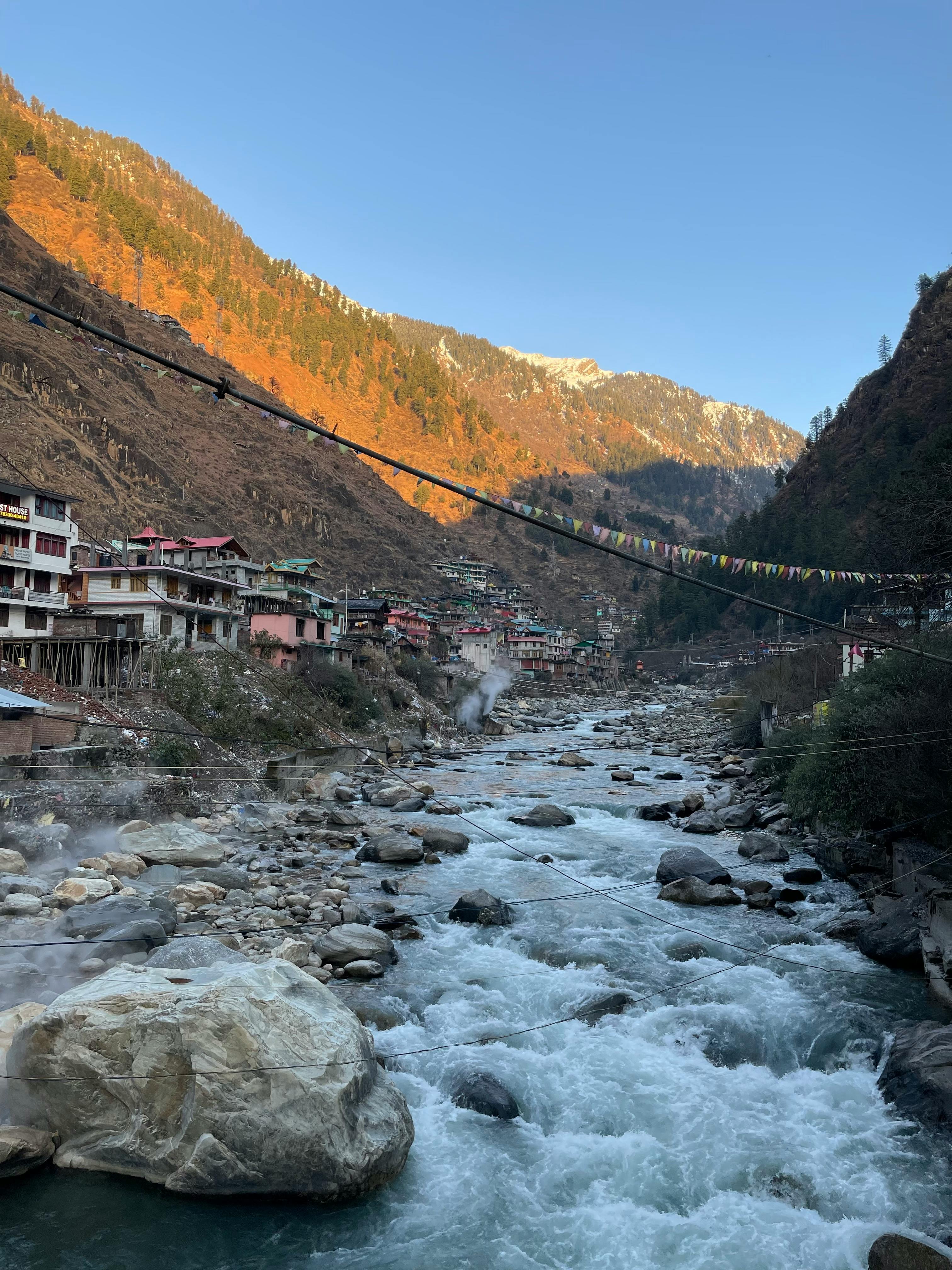 Yulla kanda · Free Stock Photo