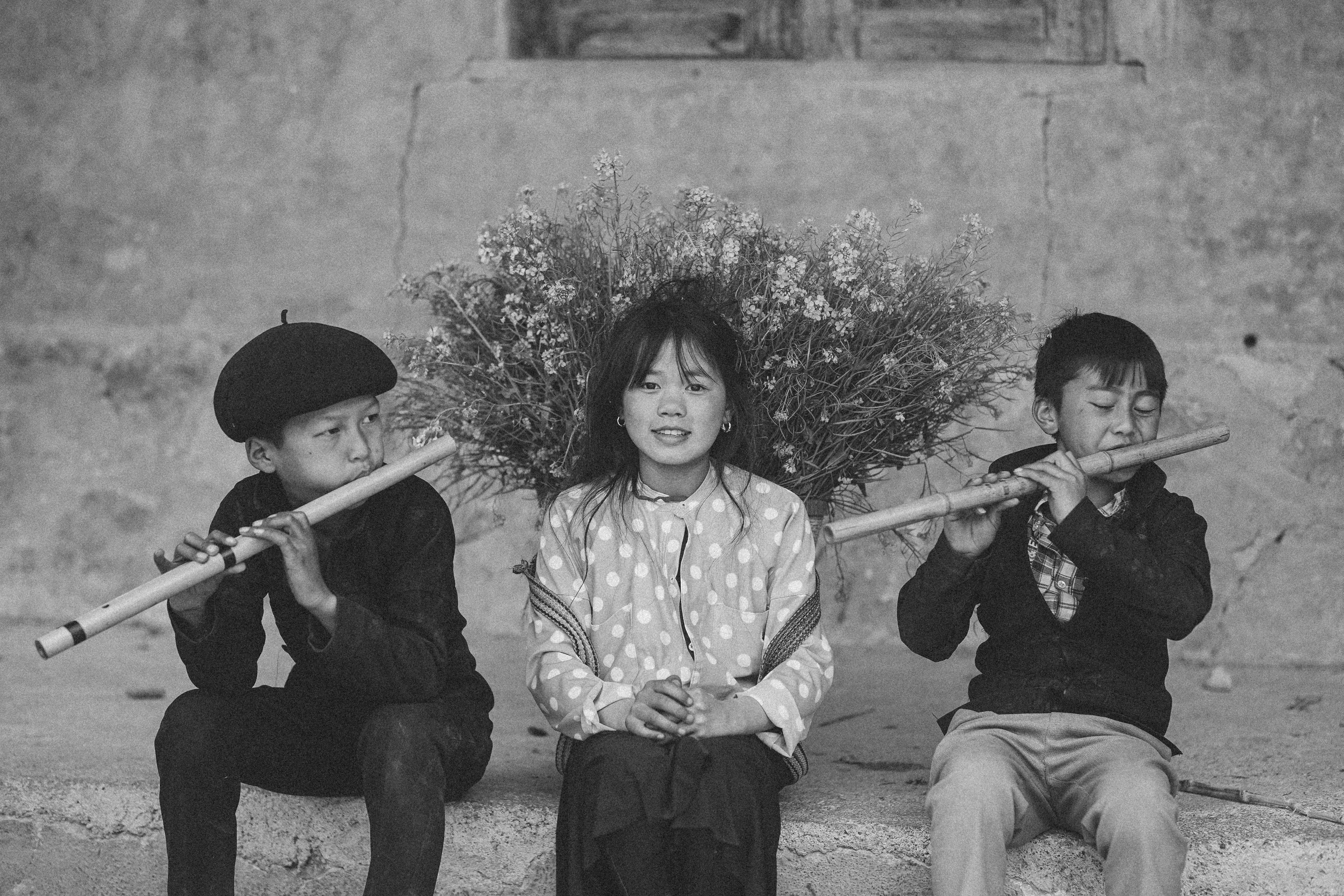 Musical Judges Photos, Download The BEST Free Musical Judges Stock ...