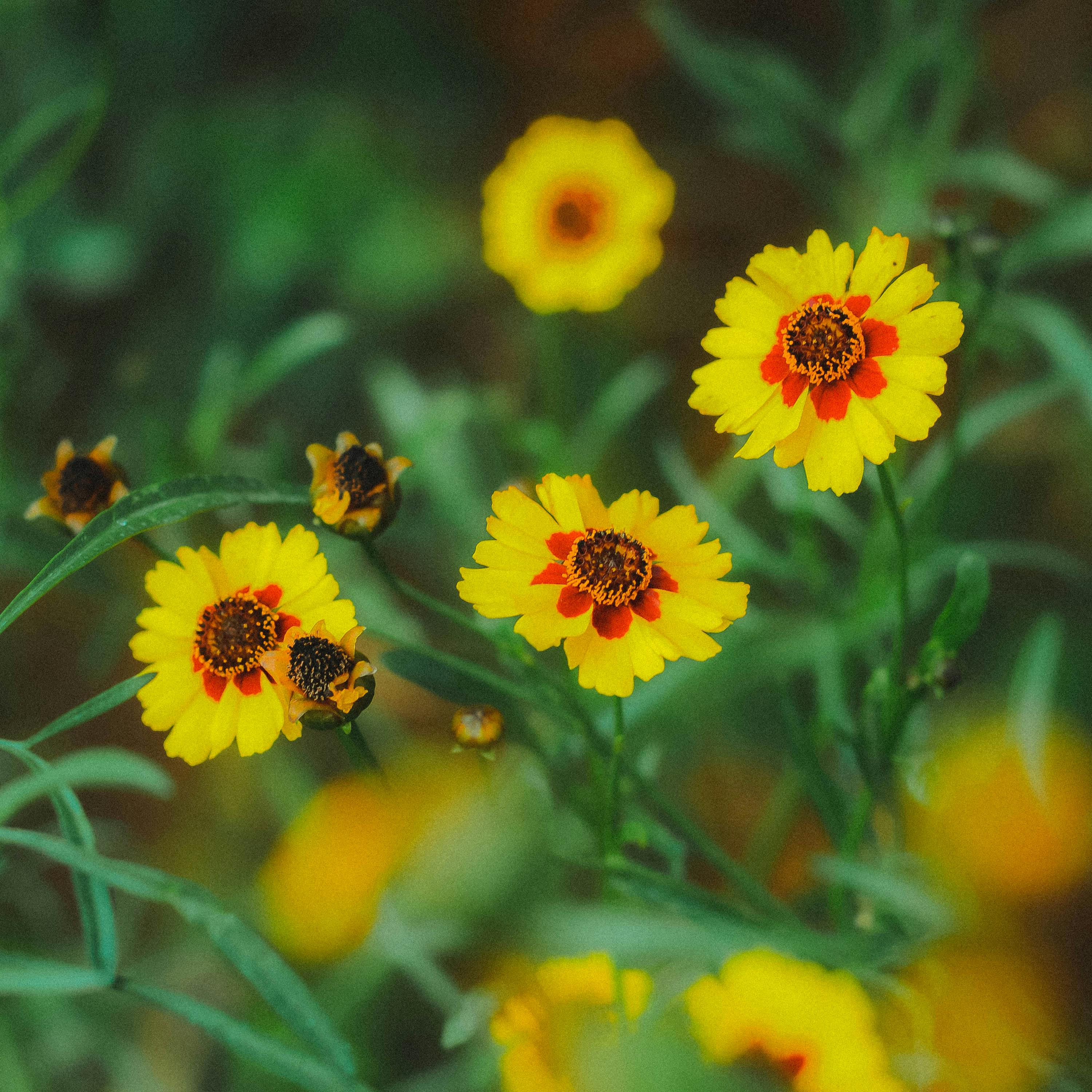 Yadanar Kyaw - 사진