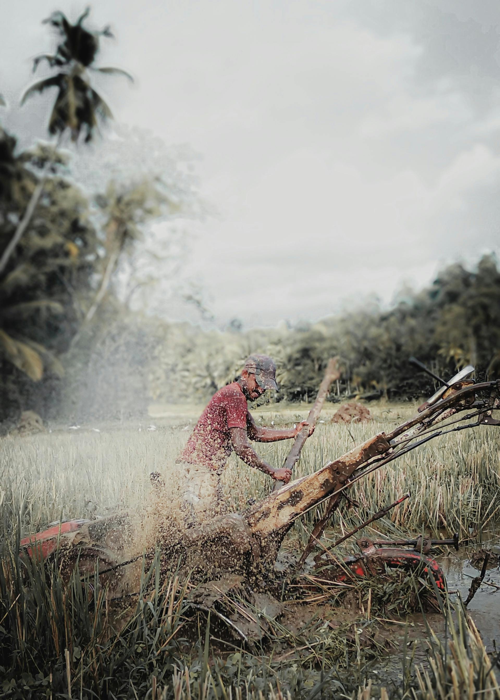 Man Shredding Branches · Free Stock Photo