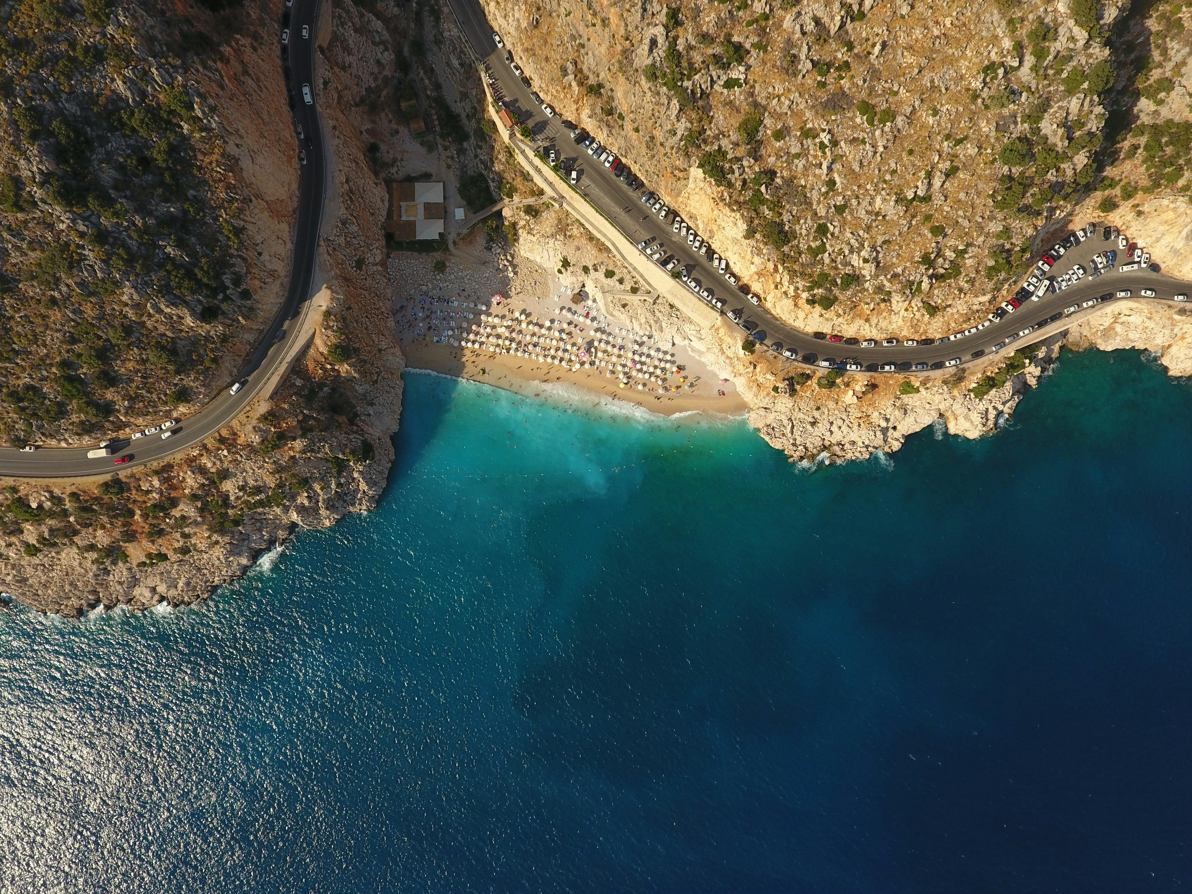 Lab Lab Lab Law Photos, Download The BEST Free Lab Lab Lab Law Stock ...