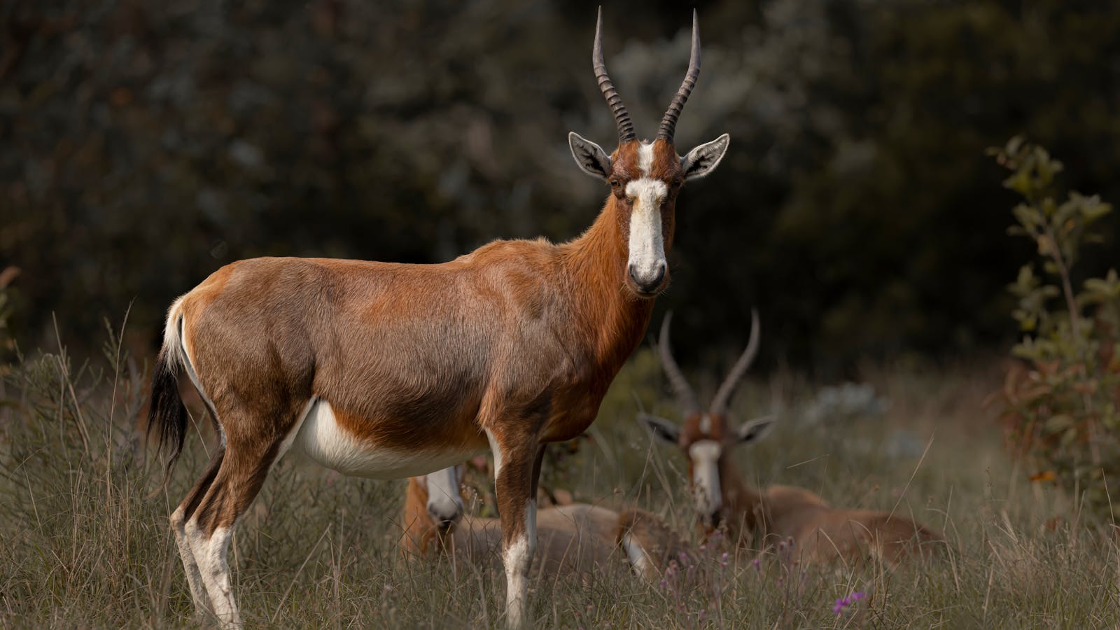 Alert Wallpaper Photos, Download The BEST Free Alert Wallpaper Stock ...