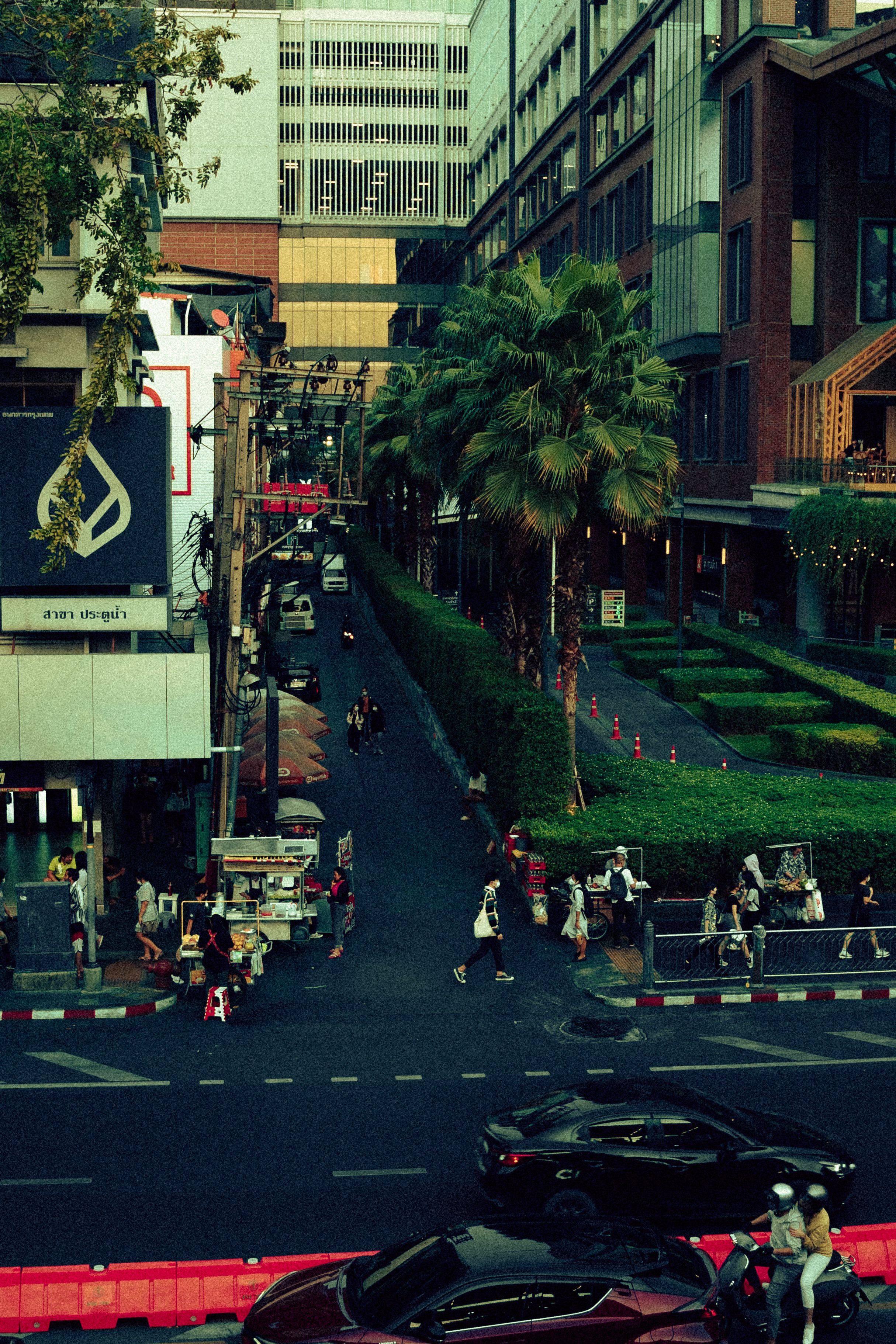 Palm Trees near Street in City · Free Stock Photo