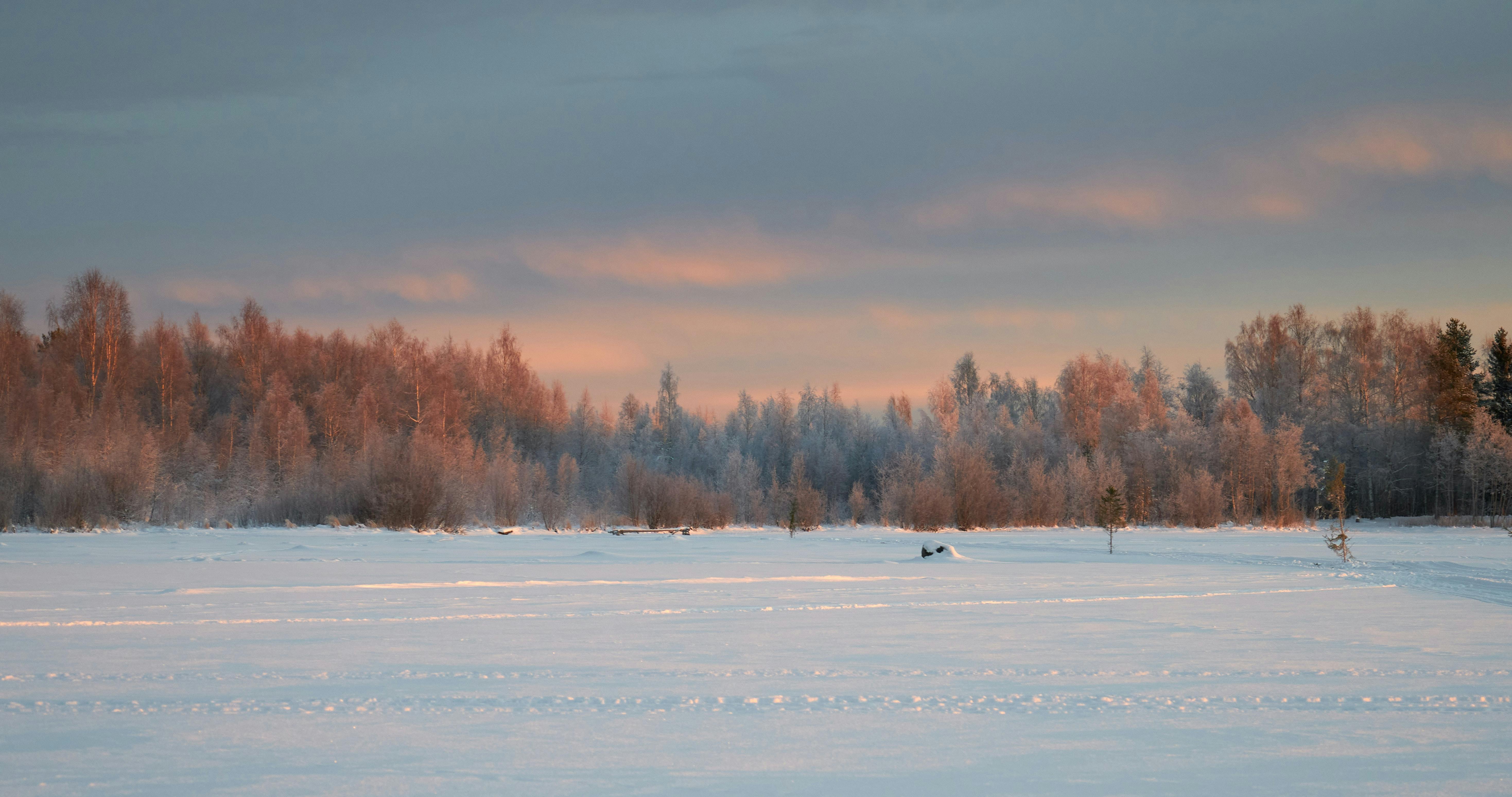 Cold Landscape Photos, Download The BEST Free Cold Landscape Stock ...