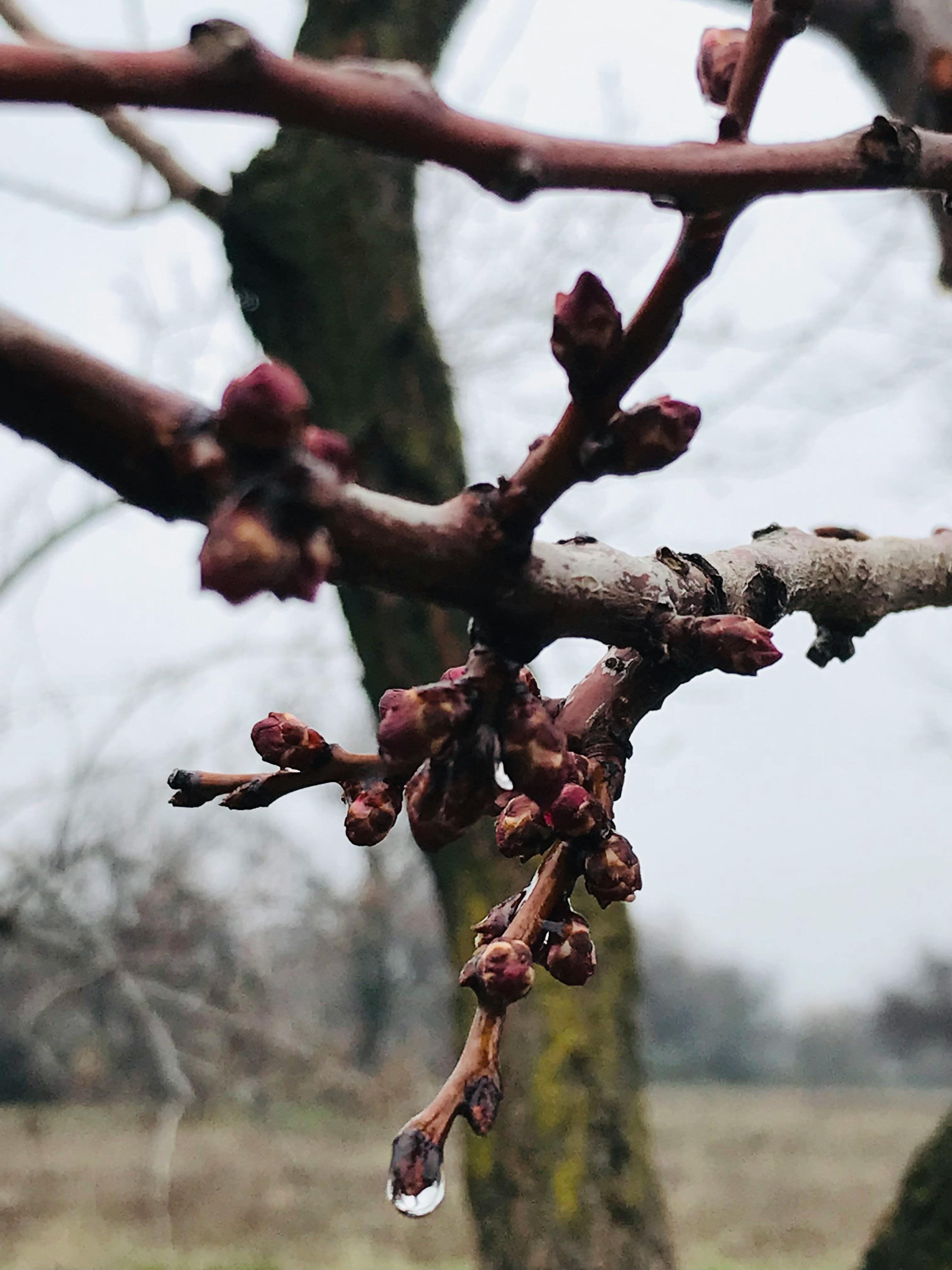 Merve Sultan - Photography