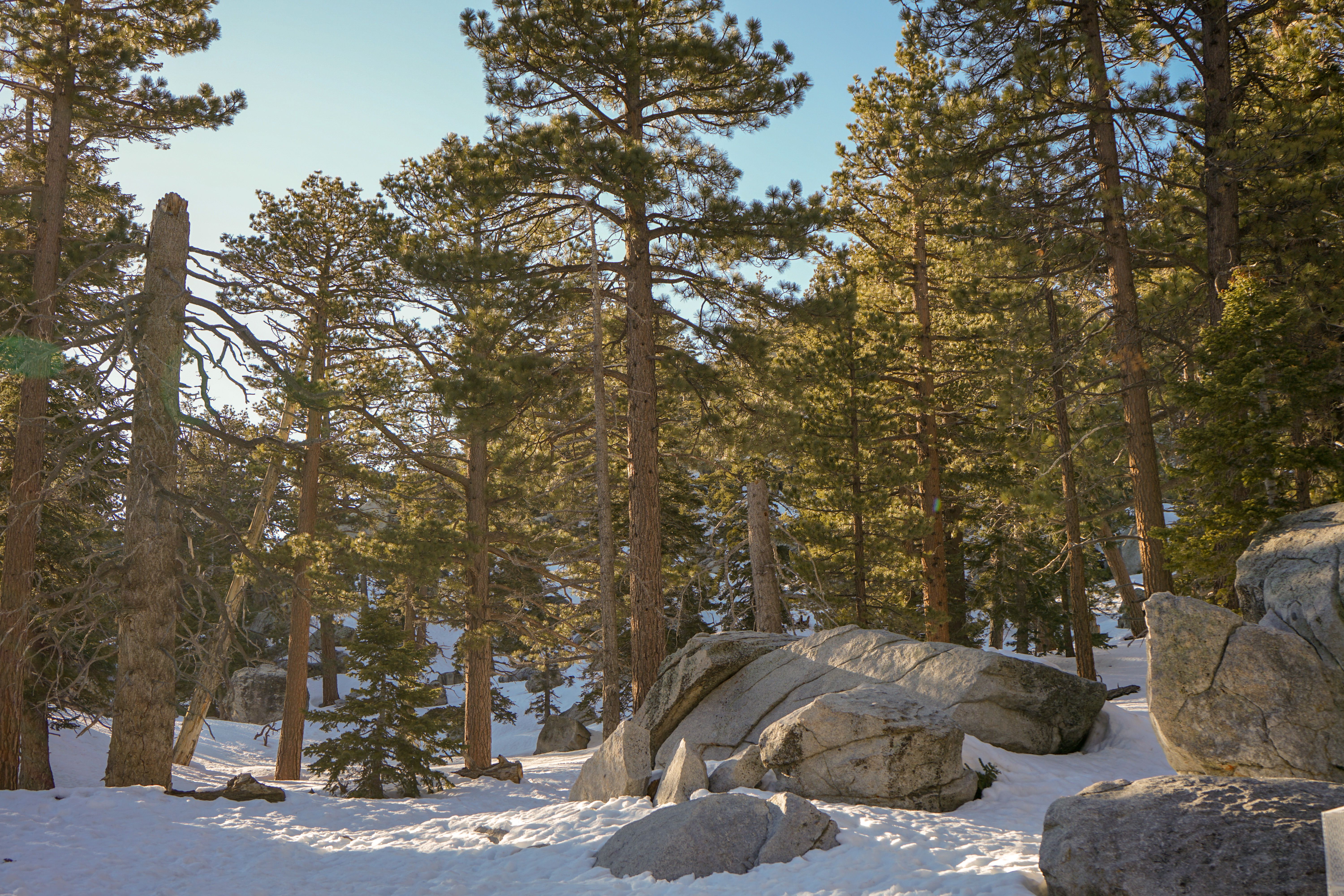 Ice Mountain Snow Floor Photos, Download The BEST Free Ice Mountain ...
