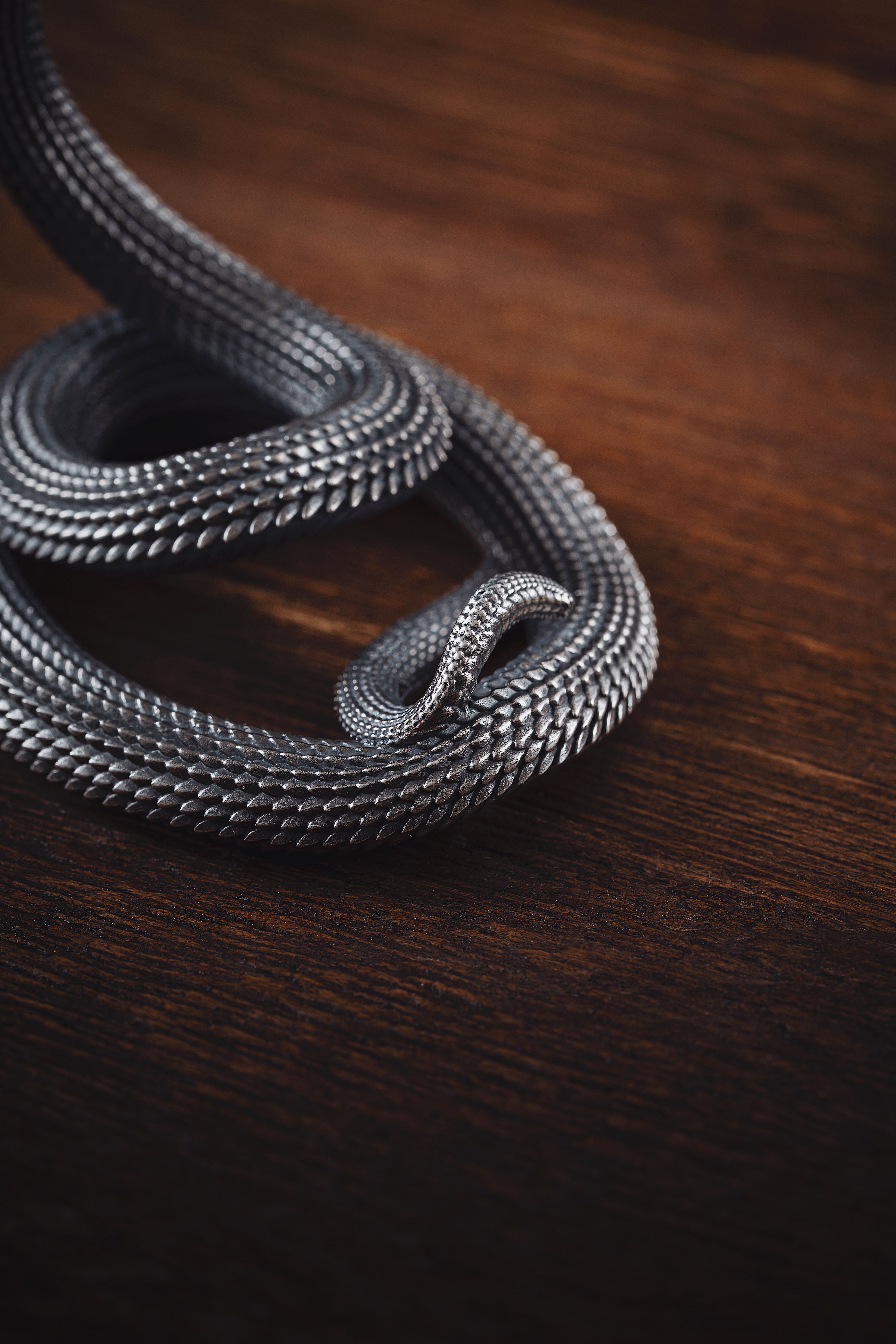 Close-up of the Snake-shaped Phone Stand Base · Free Stock Photo
