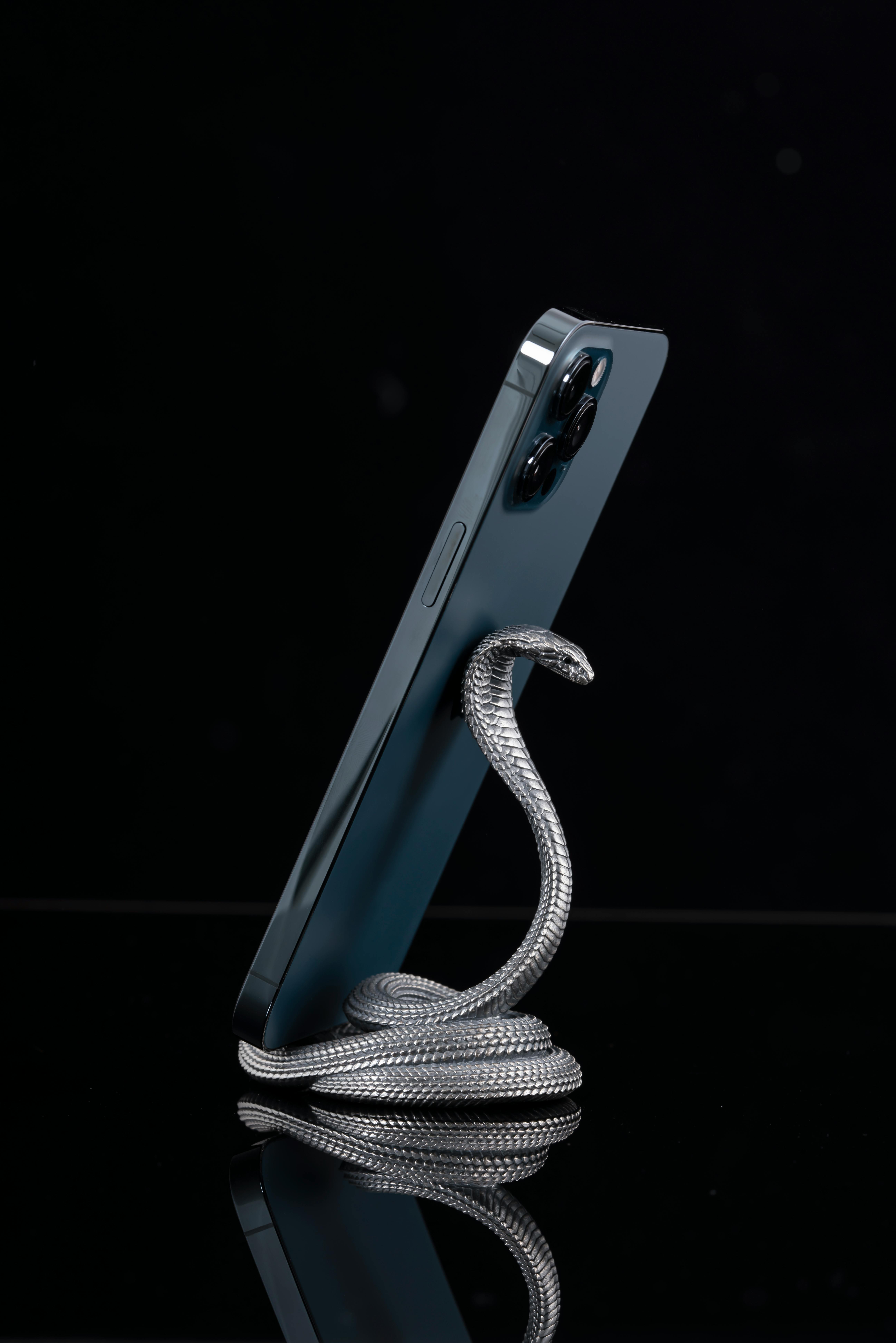 Cobra Photos, Download The BEST Free Cobra Stock Photos & HD Images