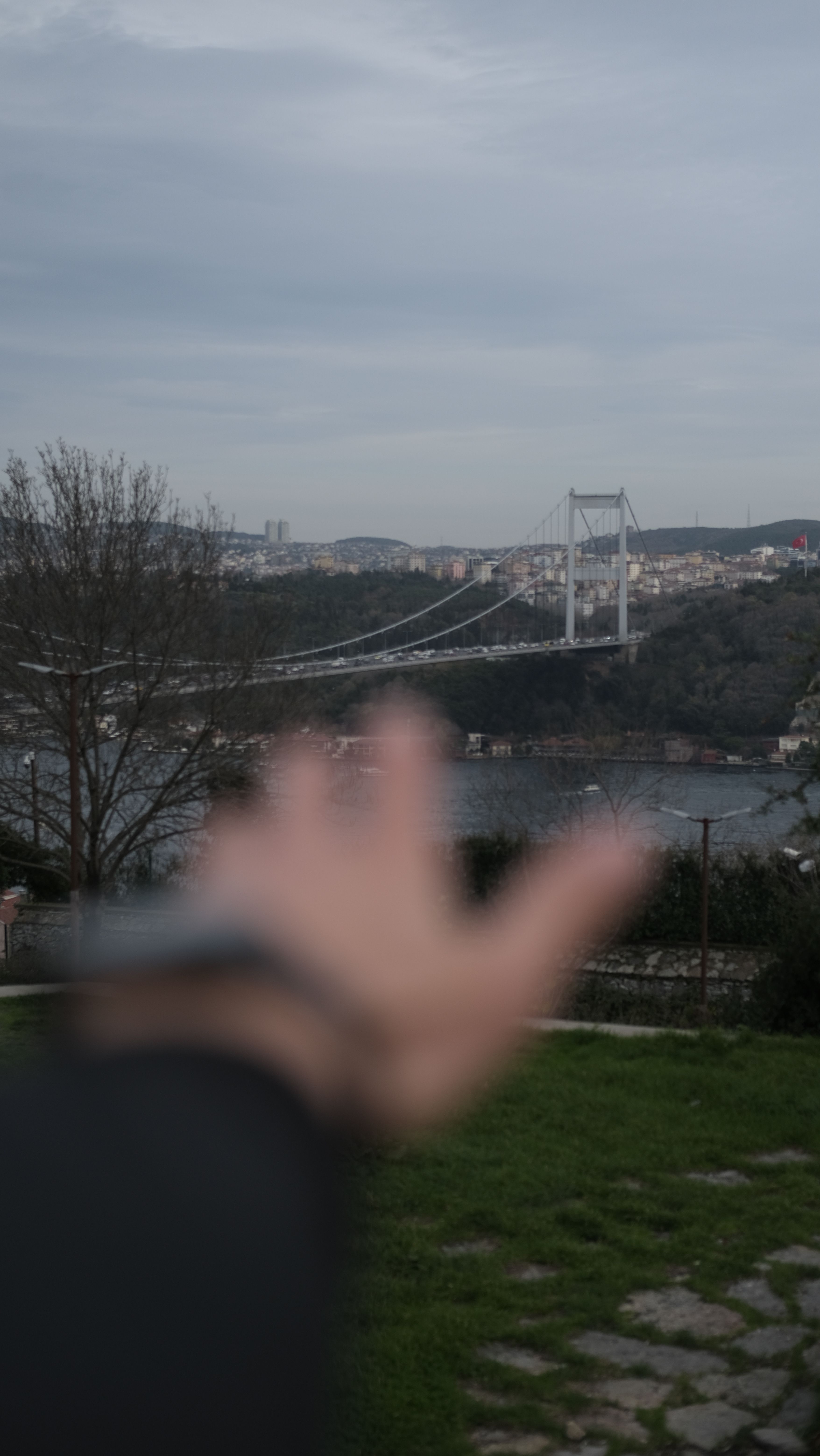 Hand and Bridge behind · Free Stock Photo