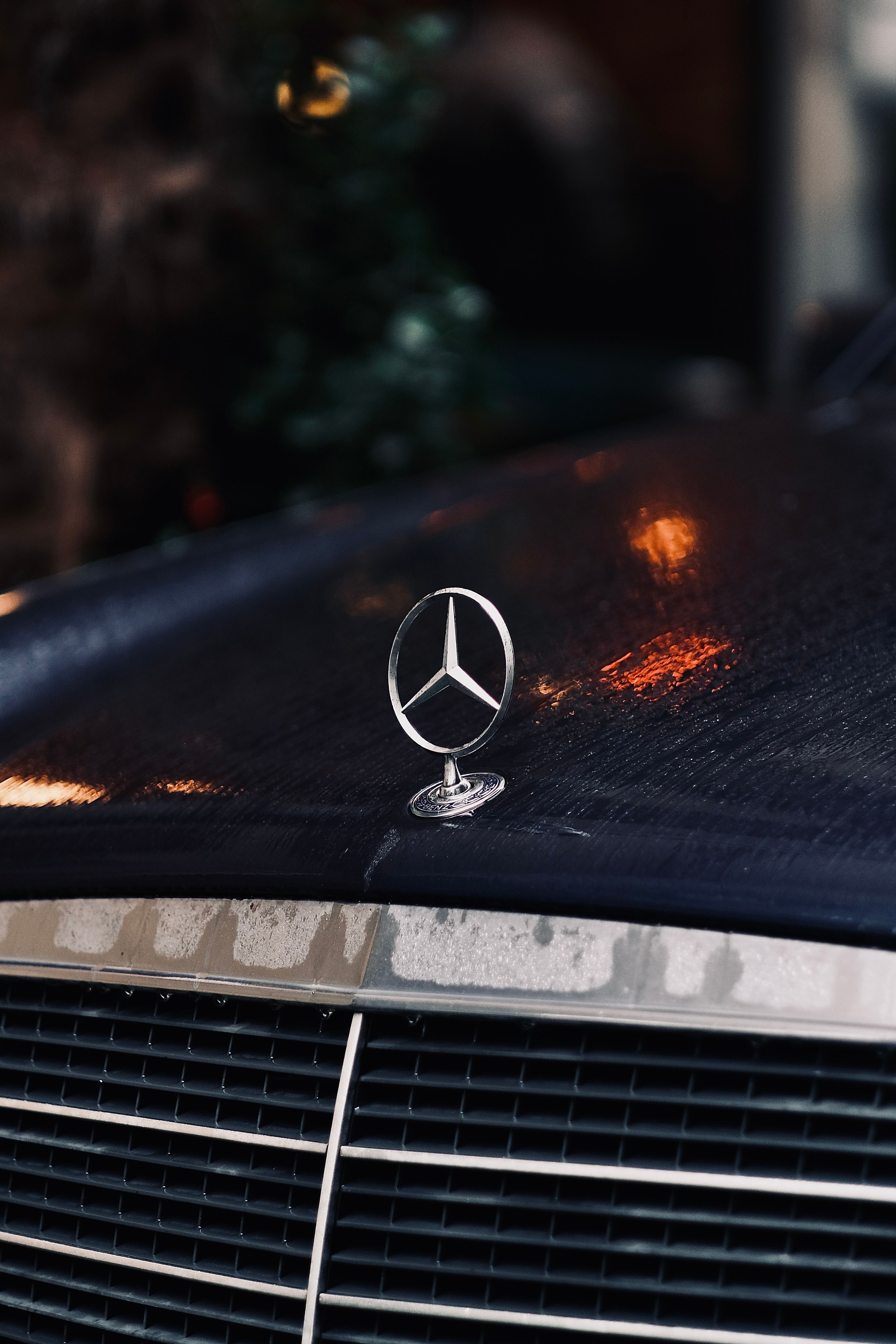 Mercedes Emblem on Blue Livery · Free Stock Photo
