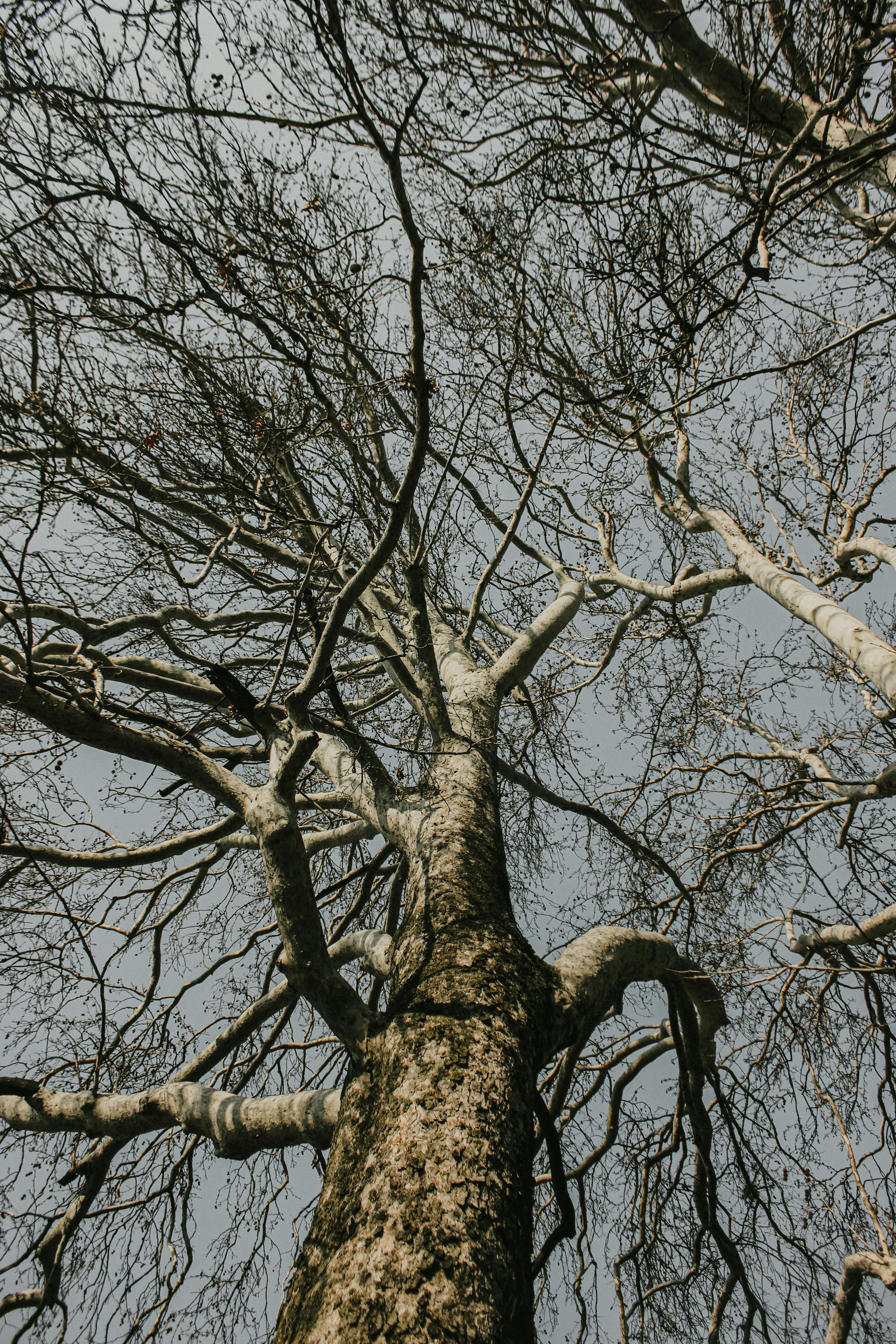 Makka Full Hd Photos, Download The BEST Free Makka Full Hd Stock Photos ...