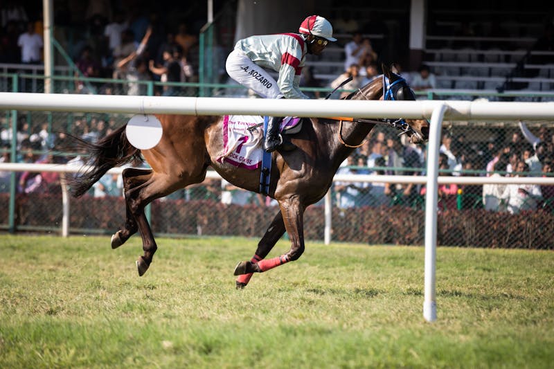 Horse Racing Jumps Photos, Download The BEST Free Horse Racing Jumps ...