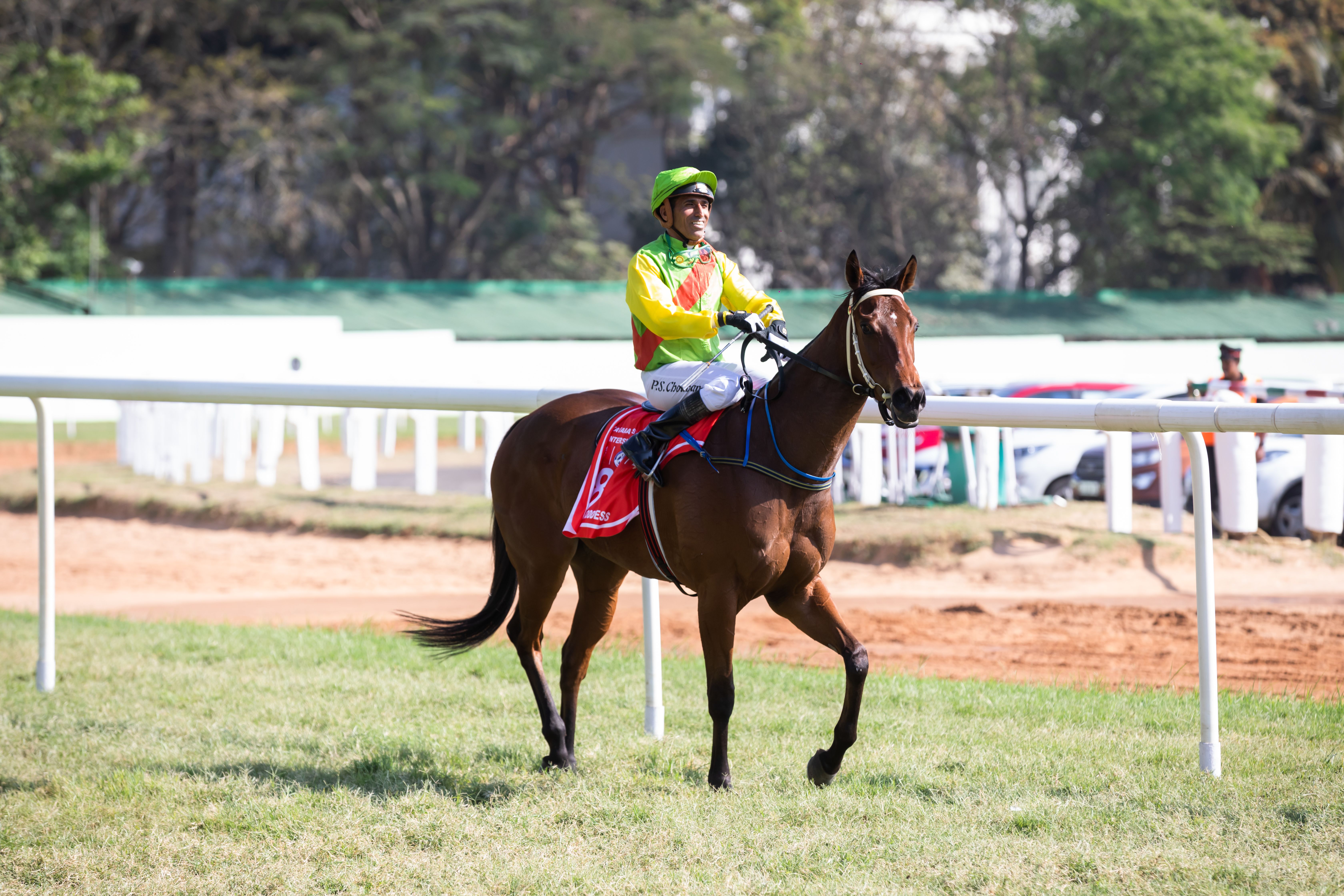Jockey Innerwear Photos, Download The BEST Free Jockey Innerwear Stock ...