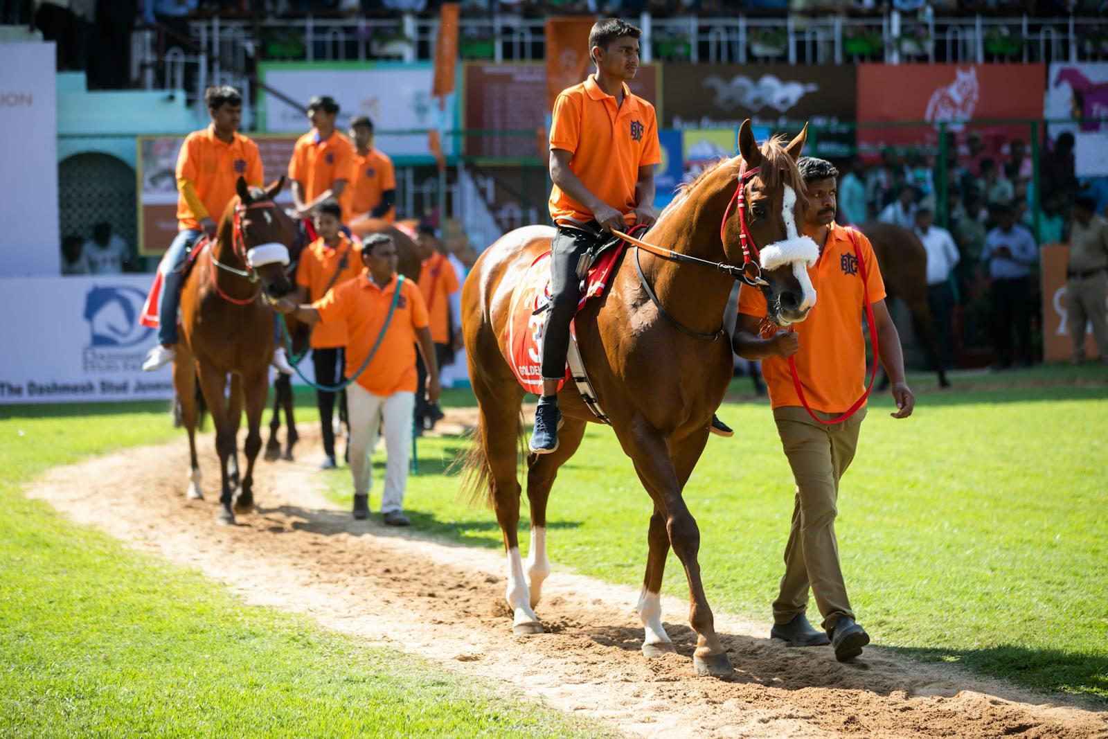 Free Pic Photos, Download The BEST Free Free Pic Stock Photos & HD Images