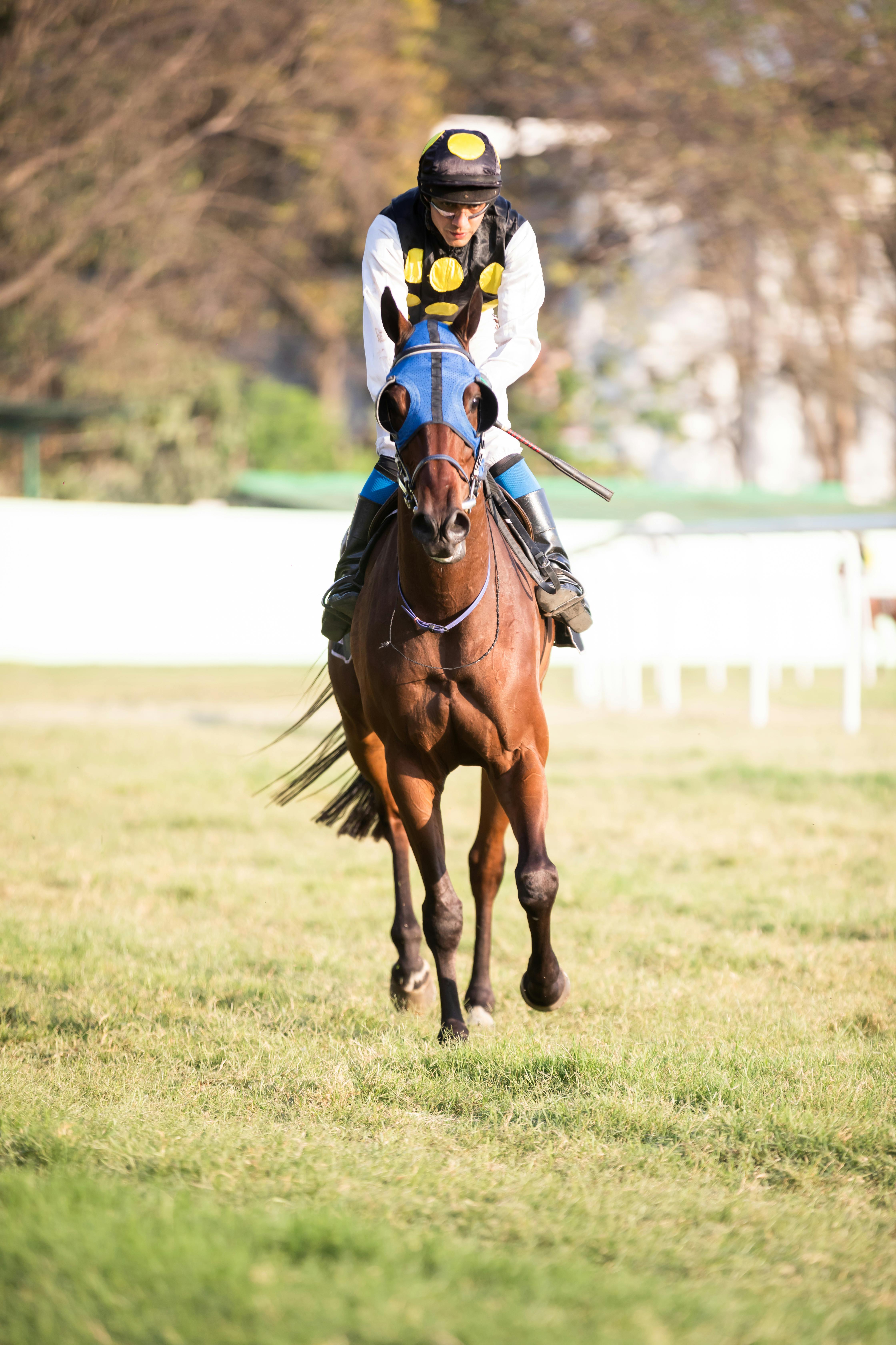 Panning Photo of Person Riding on Horse · Free Stock Photo