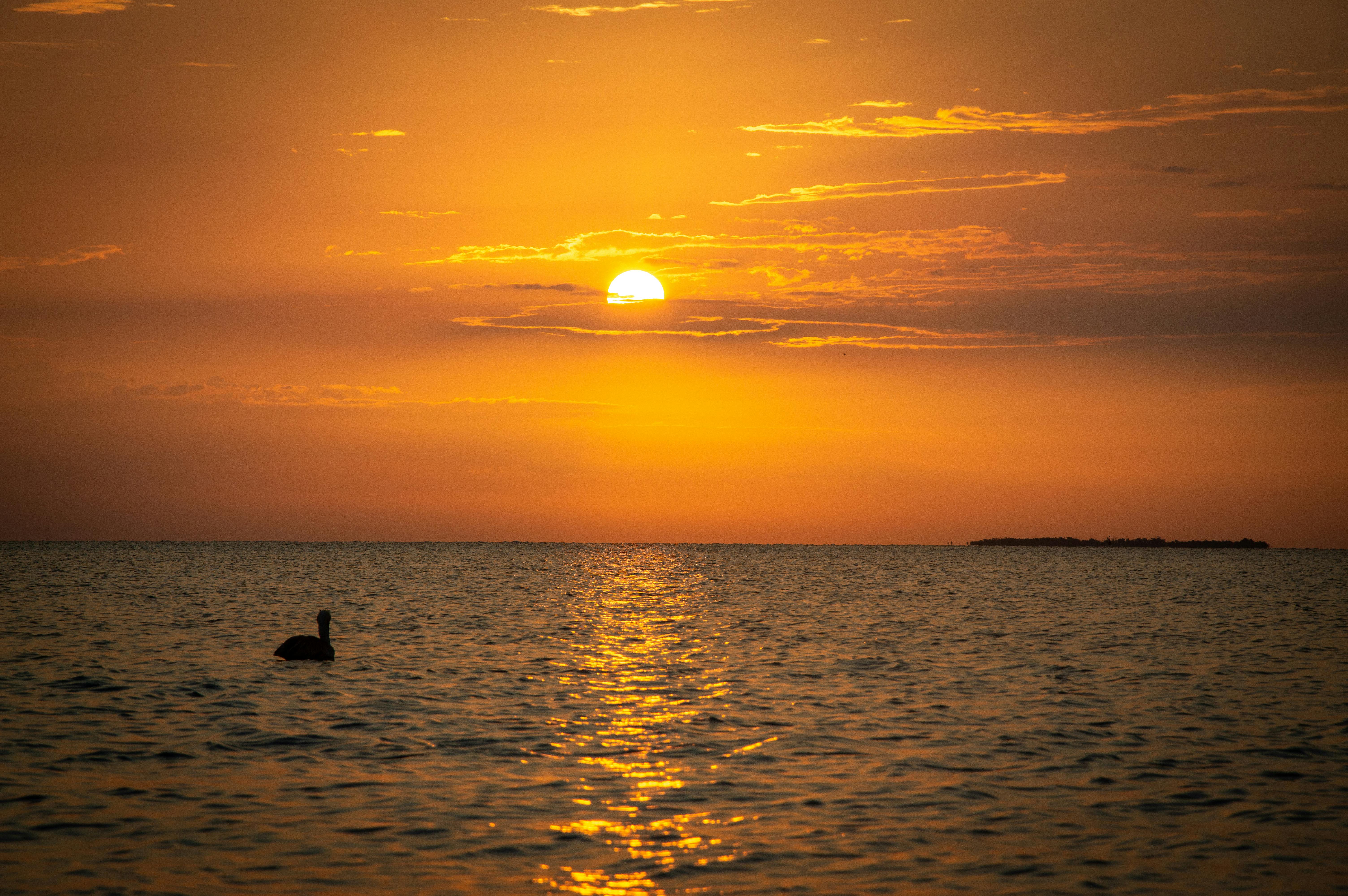 A Hand on the Water During Sunset · Free Stock Photo