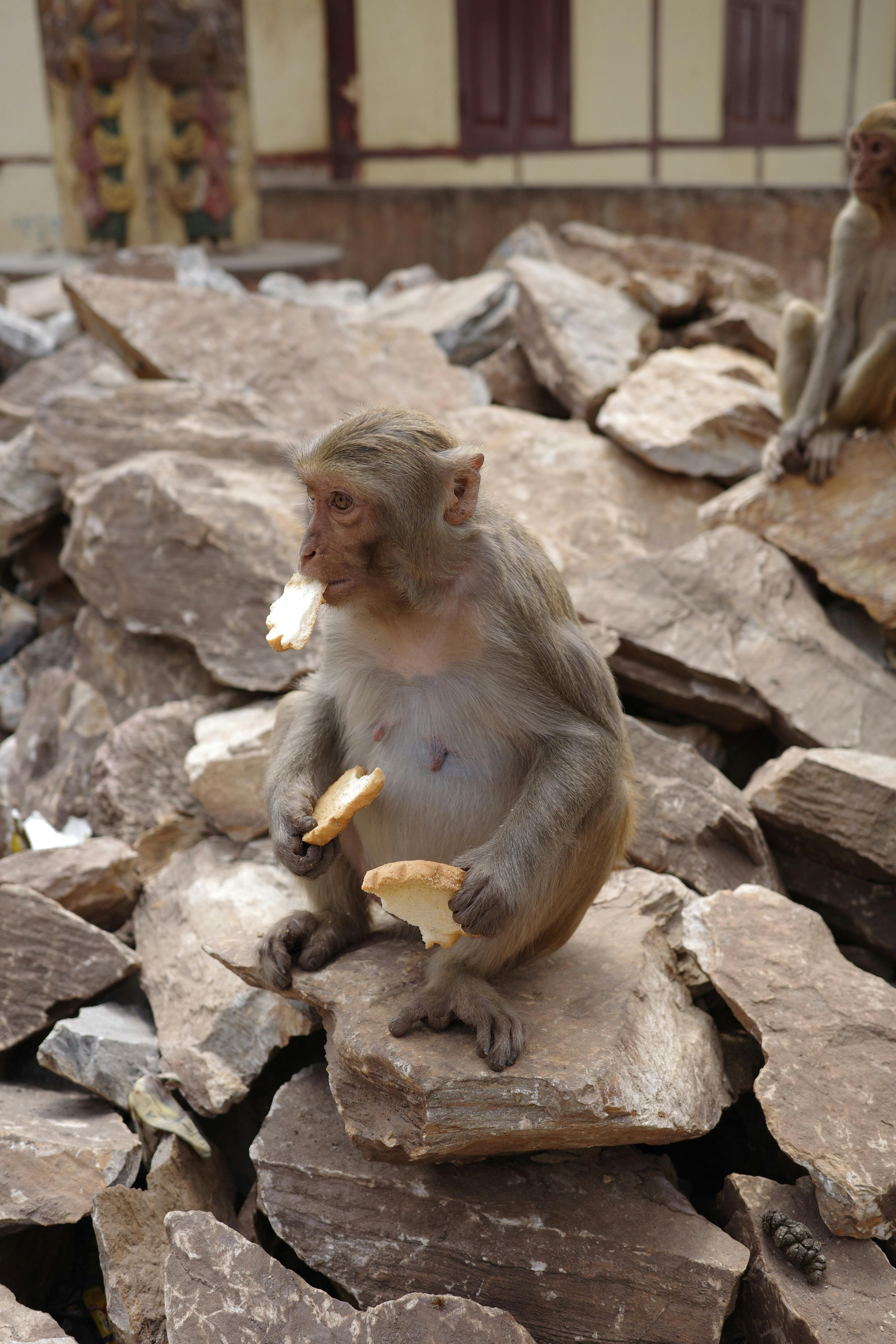 Study Photos Landscape Photos, Download The BEST Free Study Photos ...