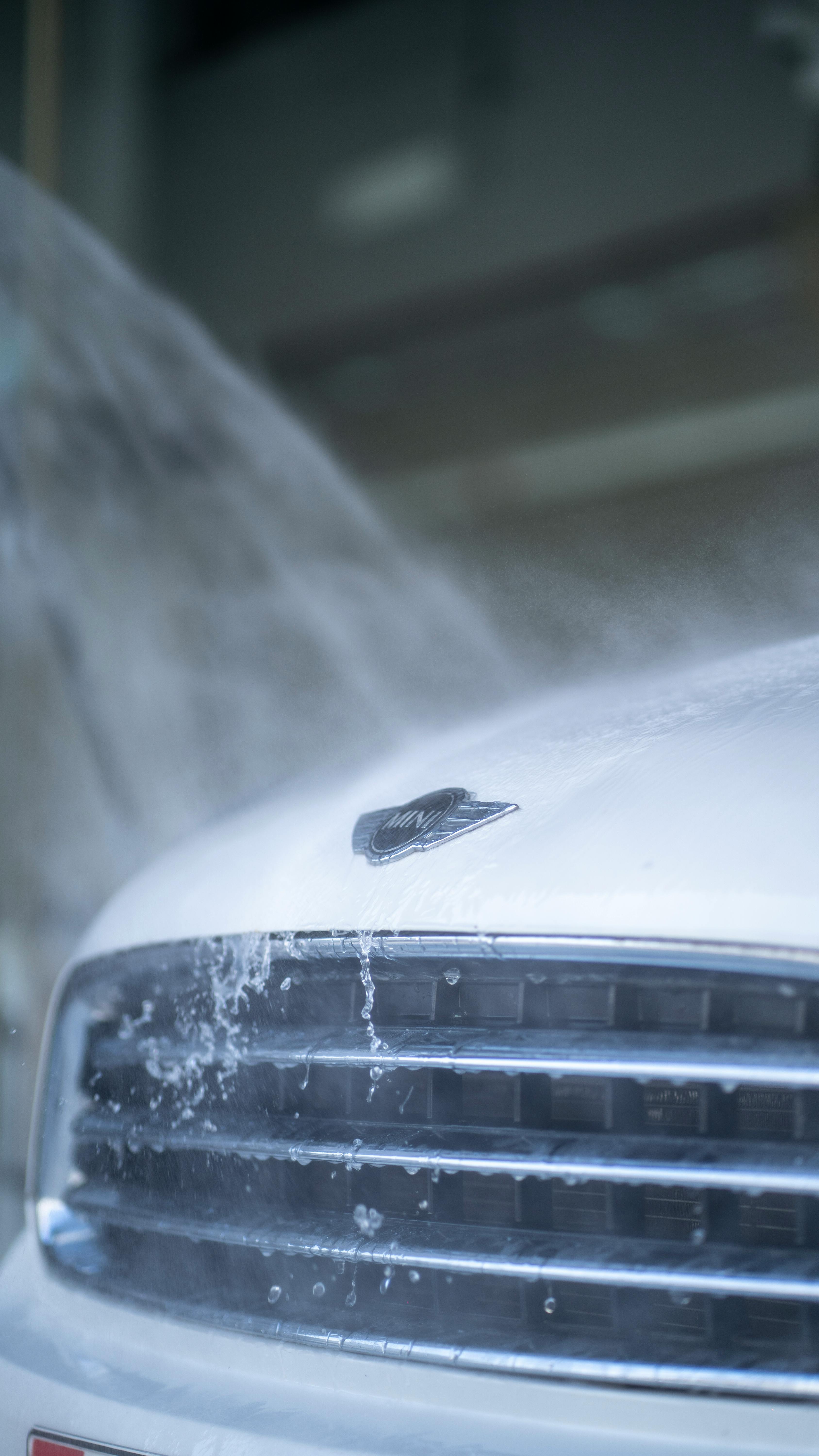 Muhammad Sameed - 사진