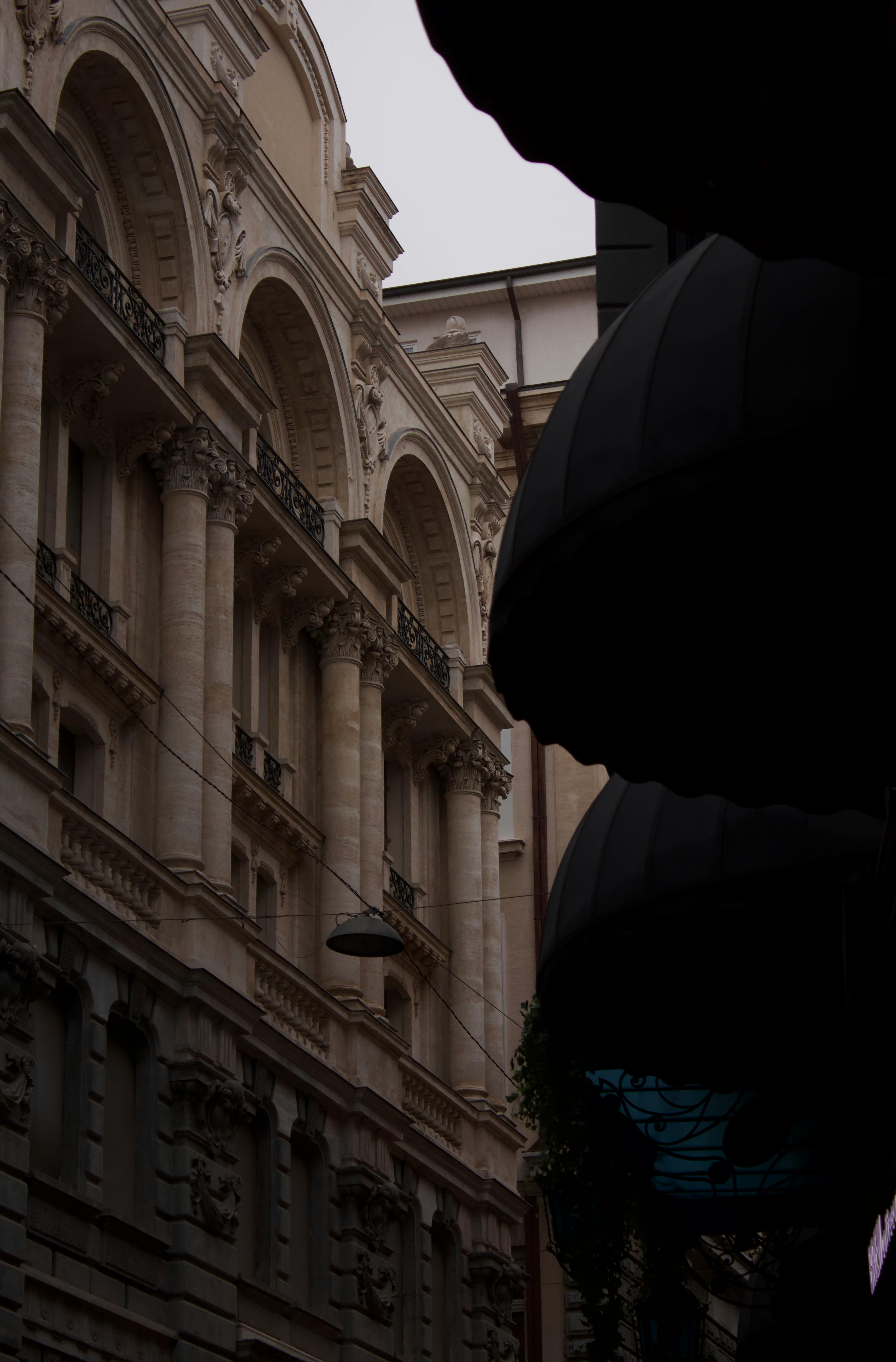 Birds Flying over Columns on Building Wall · Free Stock Photo