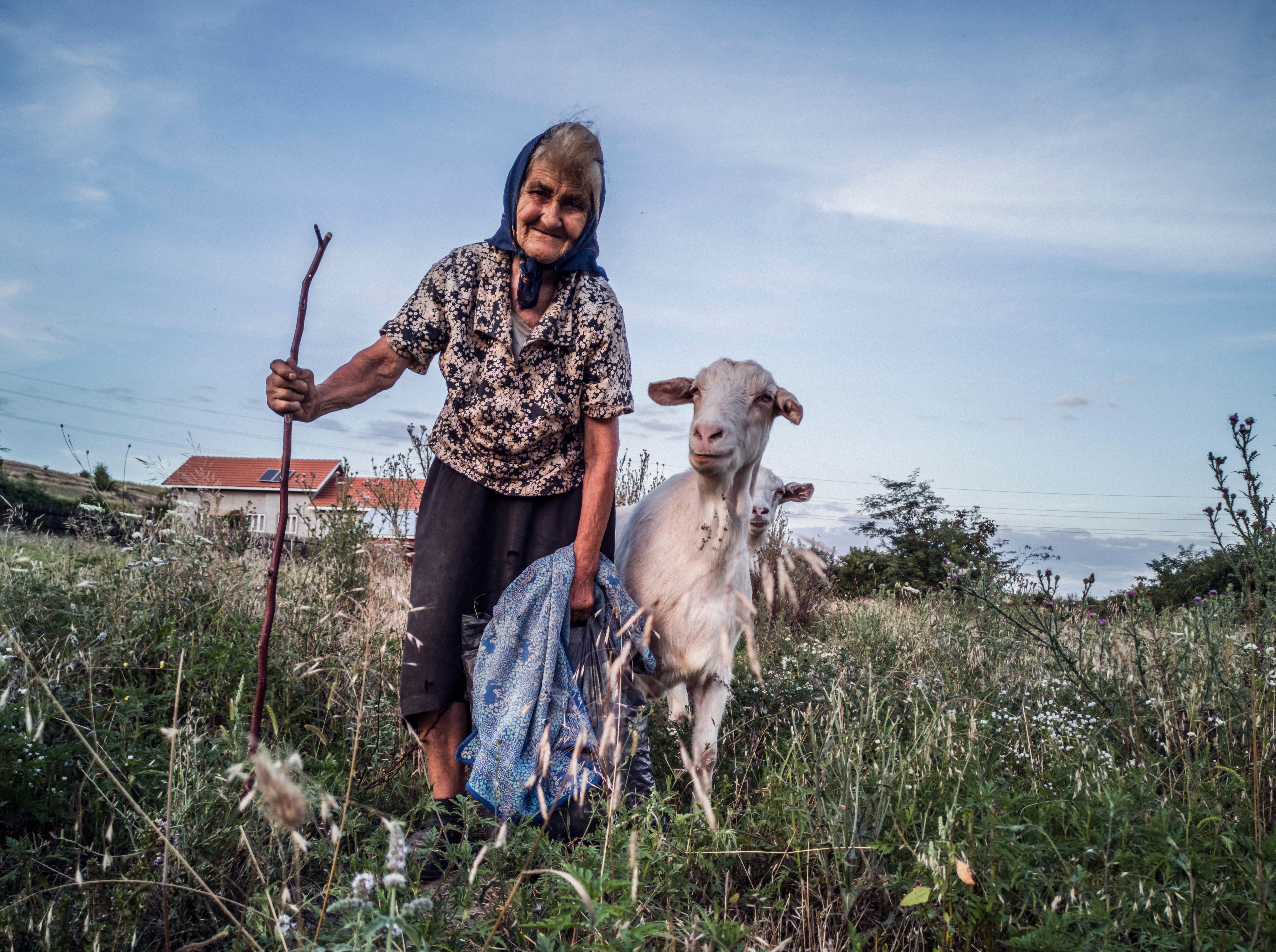 Elderly Woman with Goat · Free Stock Photo