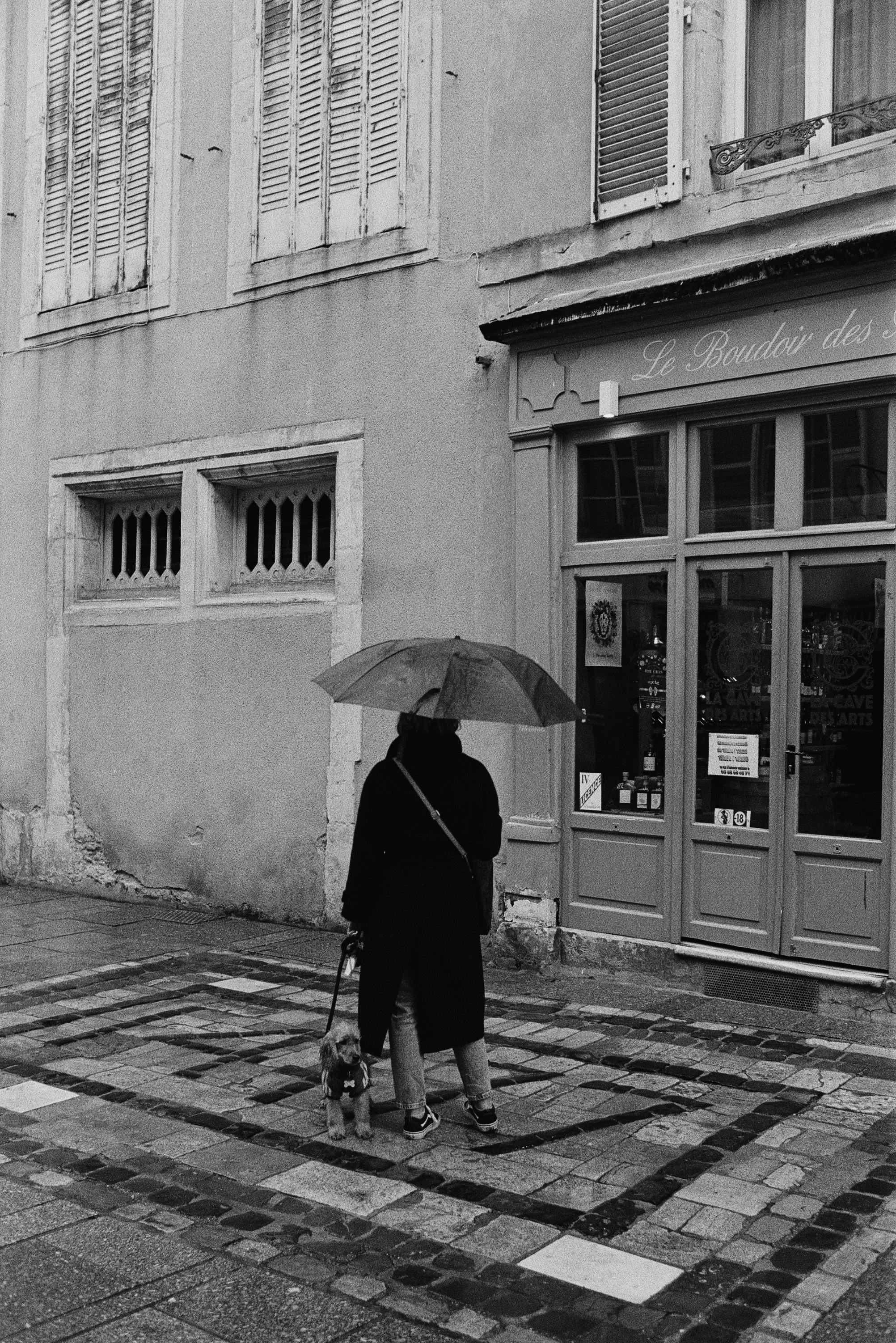 Leather Shutters Photos, Download The BEST Free Leather Shutters Stock ...